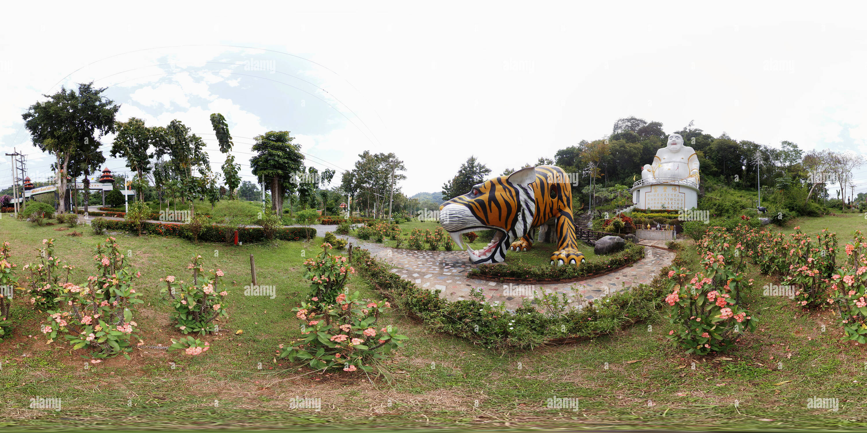 360° view of Buddha and Tiger - Alamy