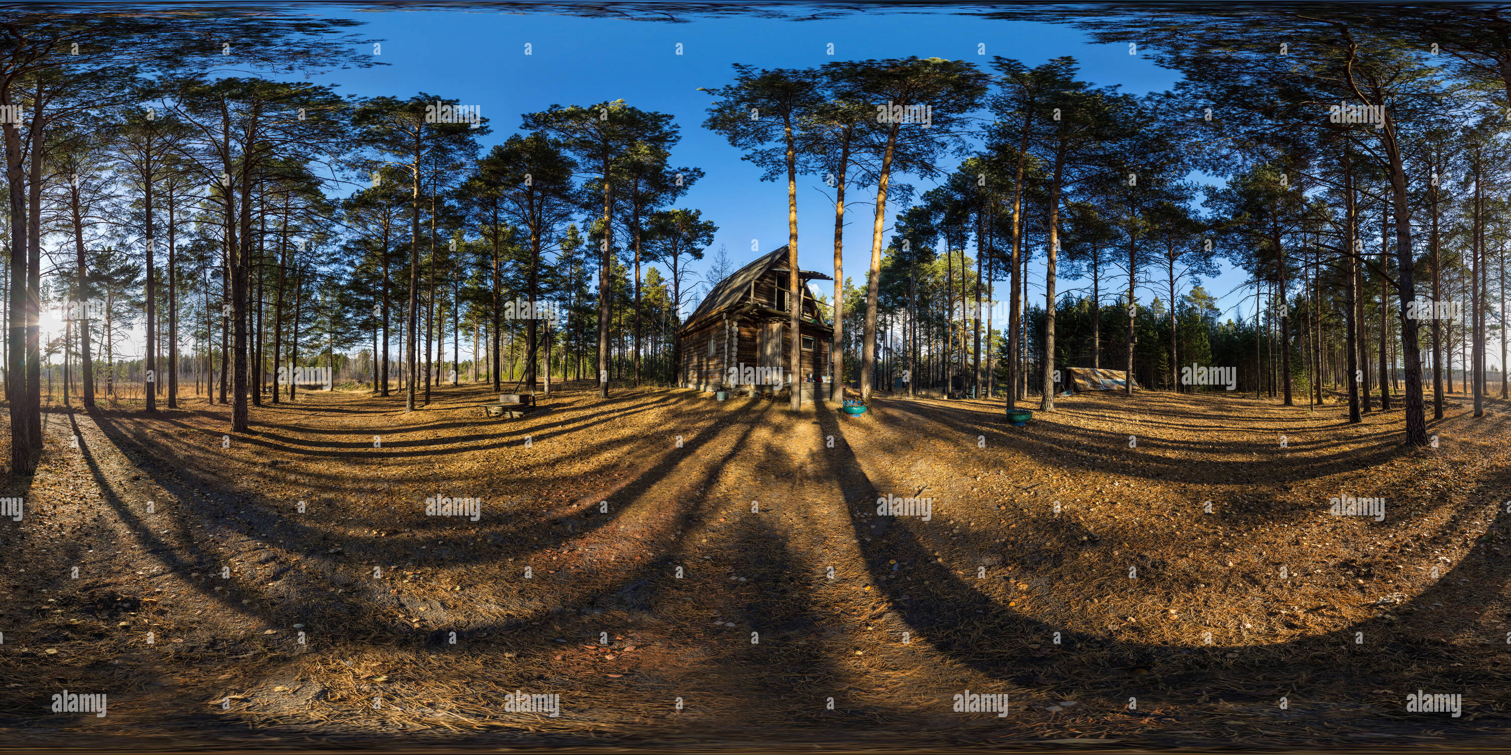 360° view of Hut in the forest 1 - Alamy