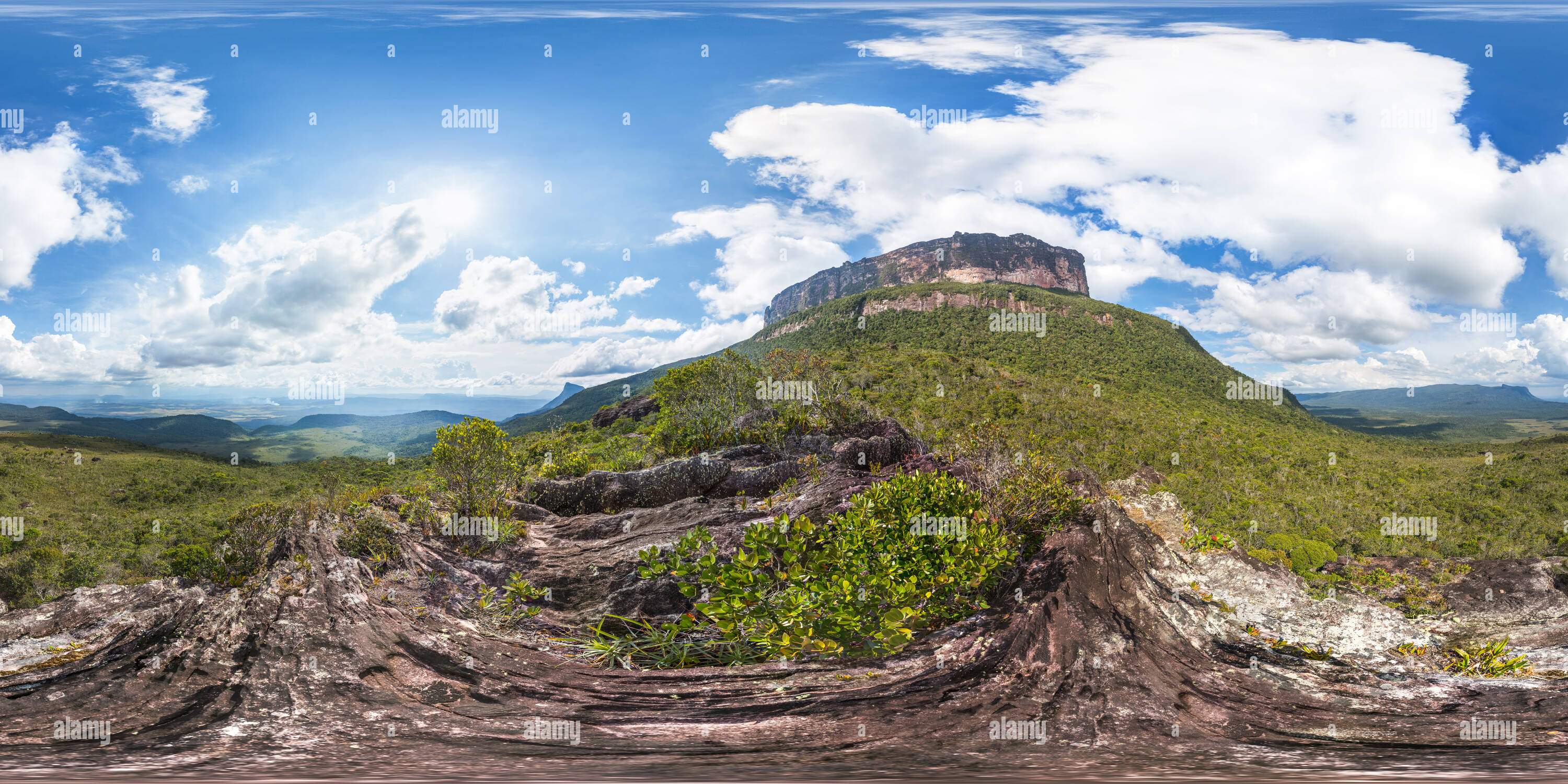 Putari hi-res stock photography and images - Alamy