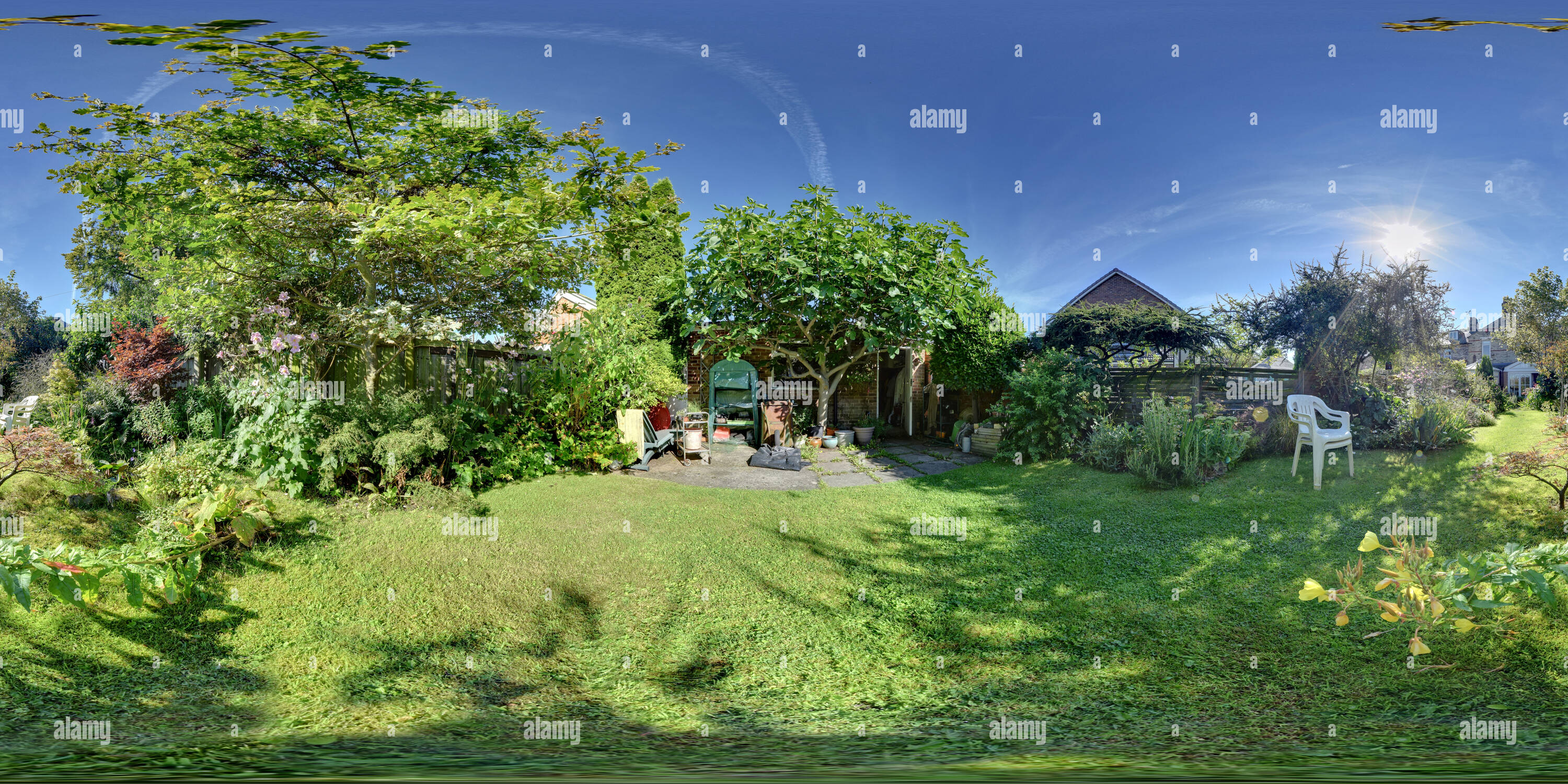 360° view of Lush Summer Garden Somewhere In East Boldon - Alamy