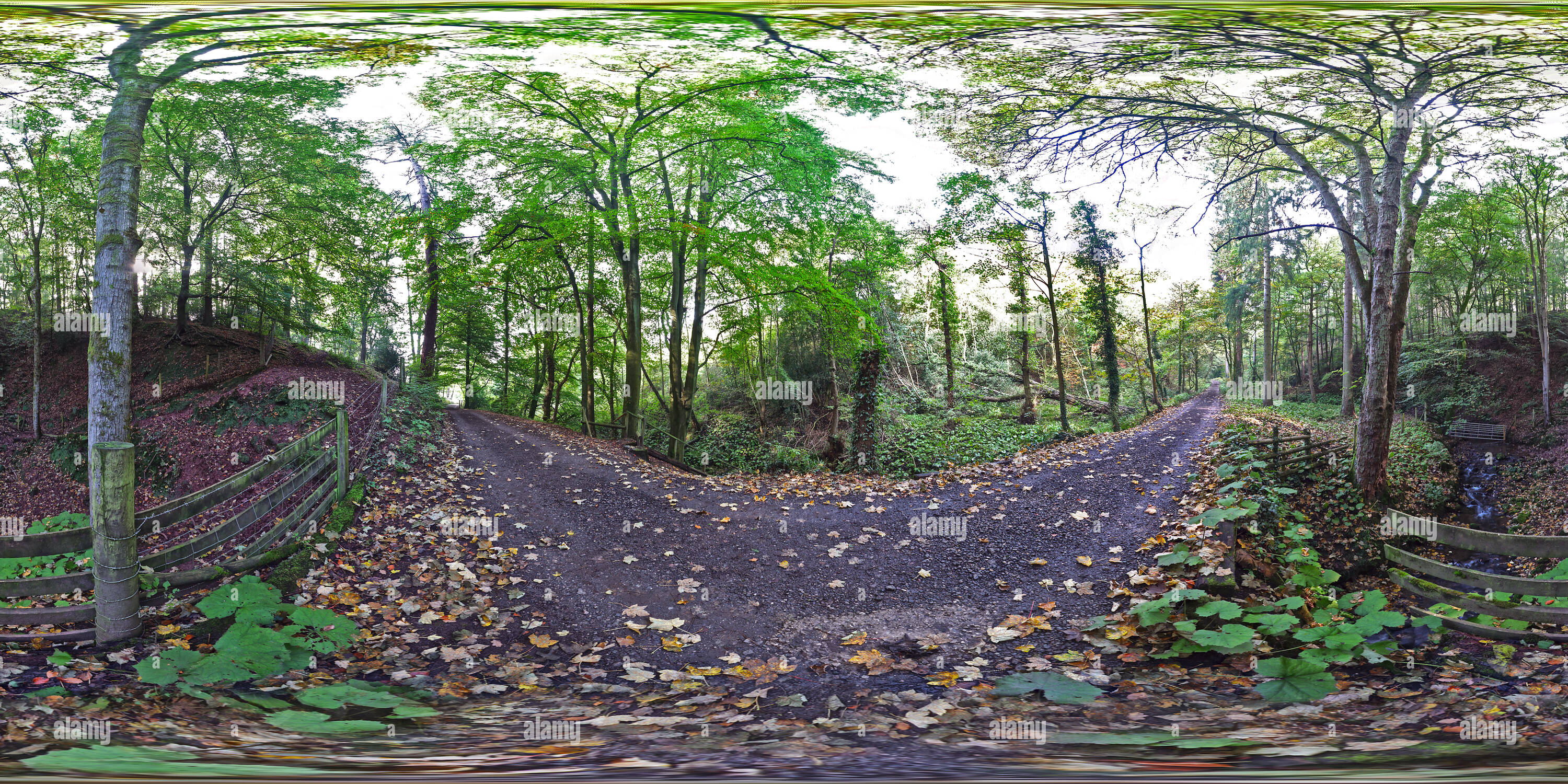 360° view of Cotton Dell Nature Reserve - Alamy