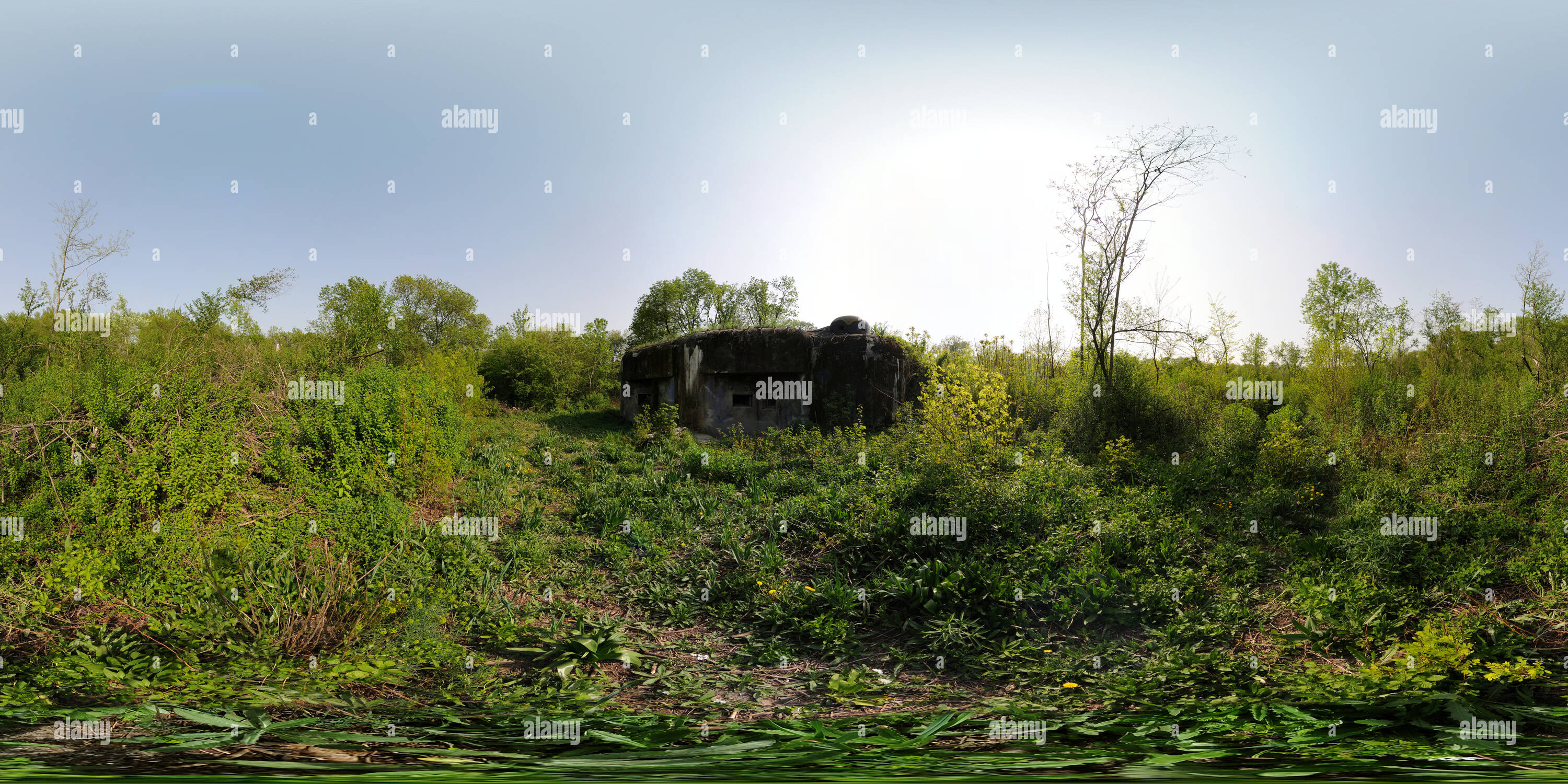 Paseka hi-res stock photography and images - Alamy