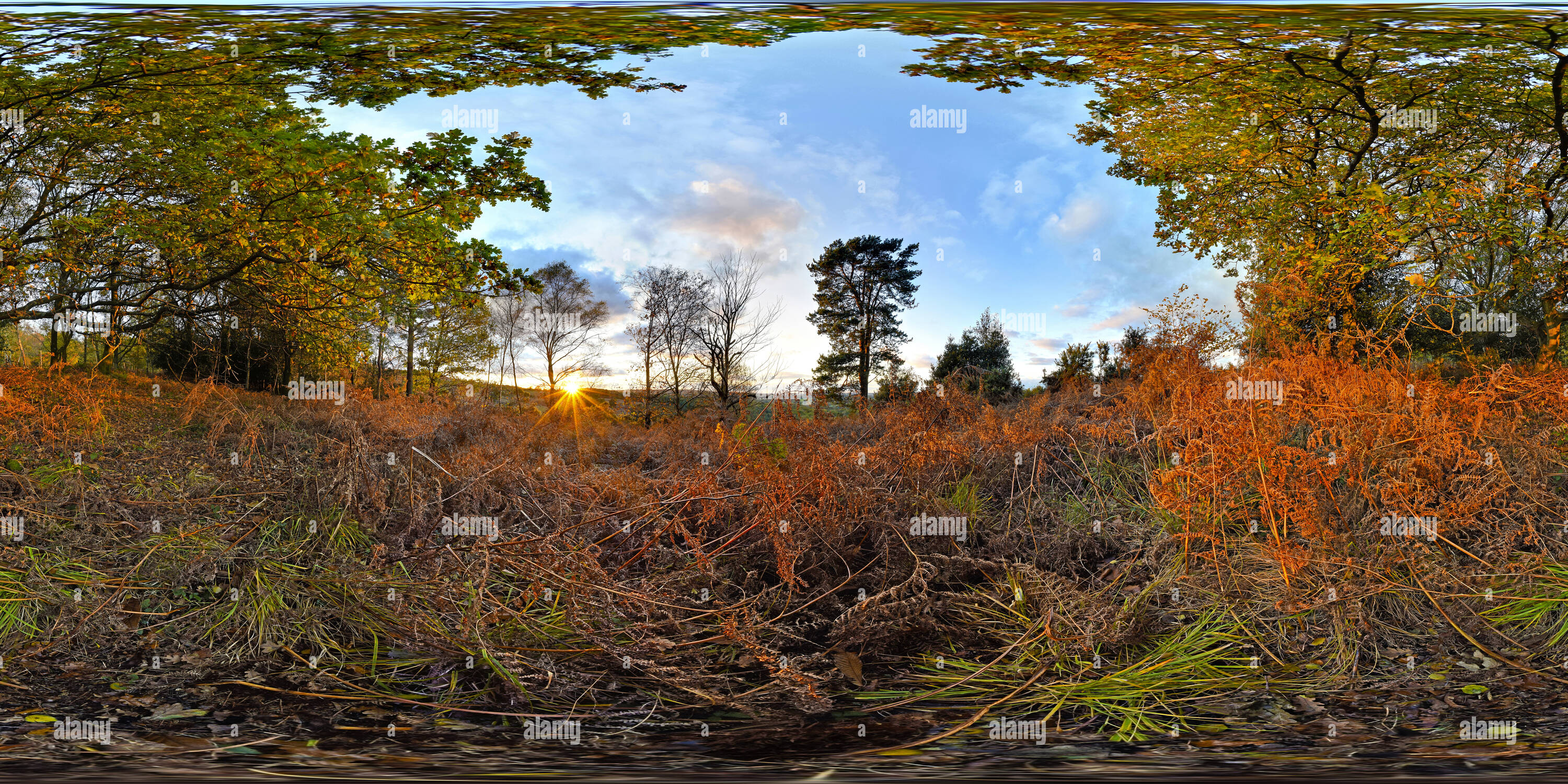 Sunset ashdown forest hi-res stock photography and images - Alamy