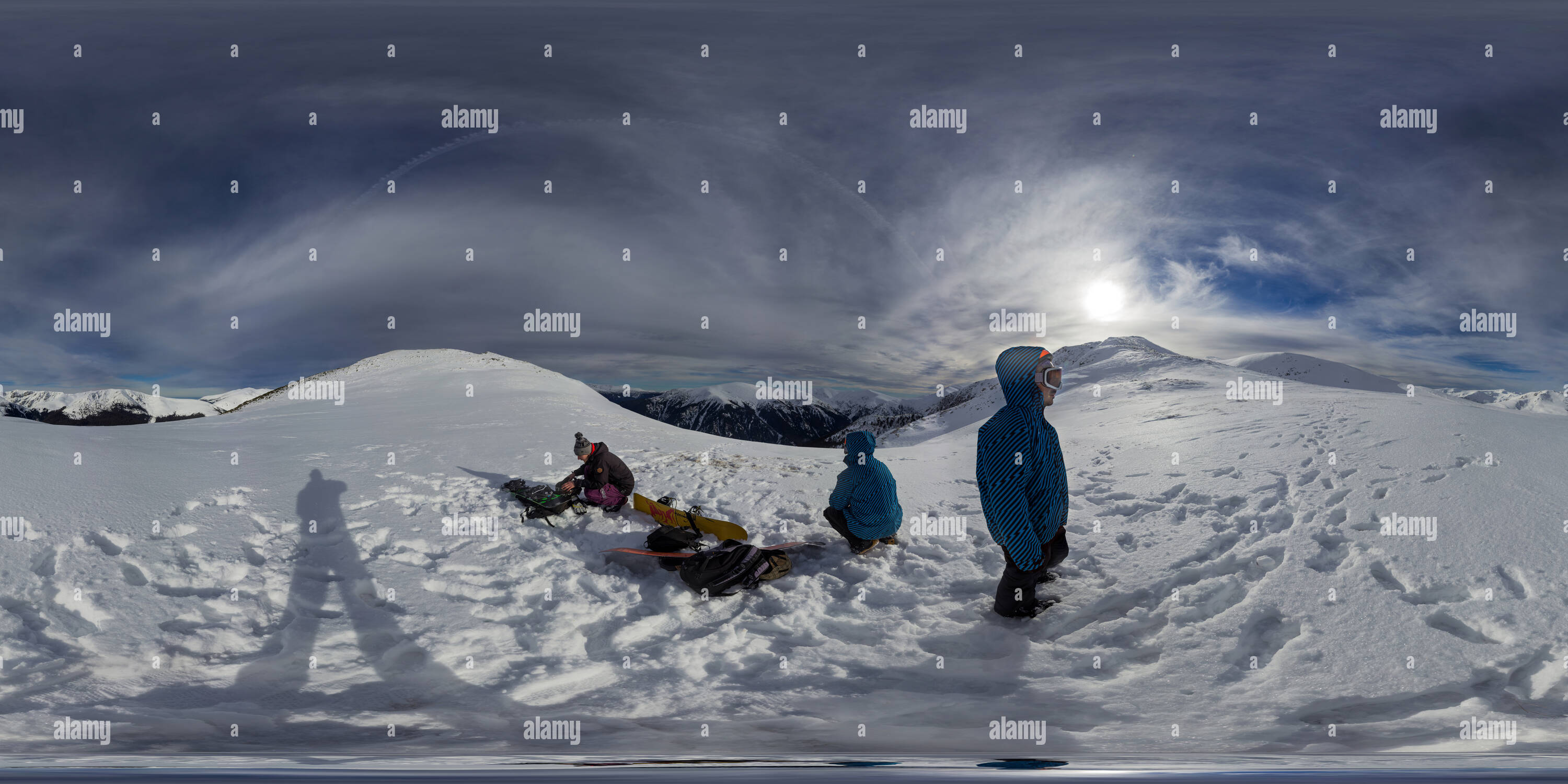 Saua hi-res stock photography and images - Alamy
