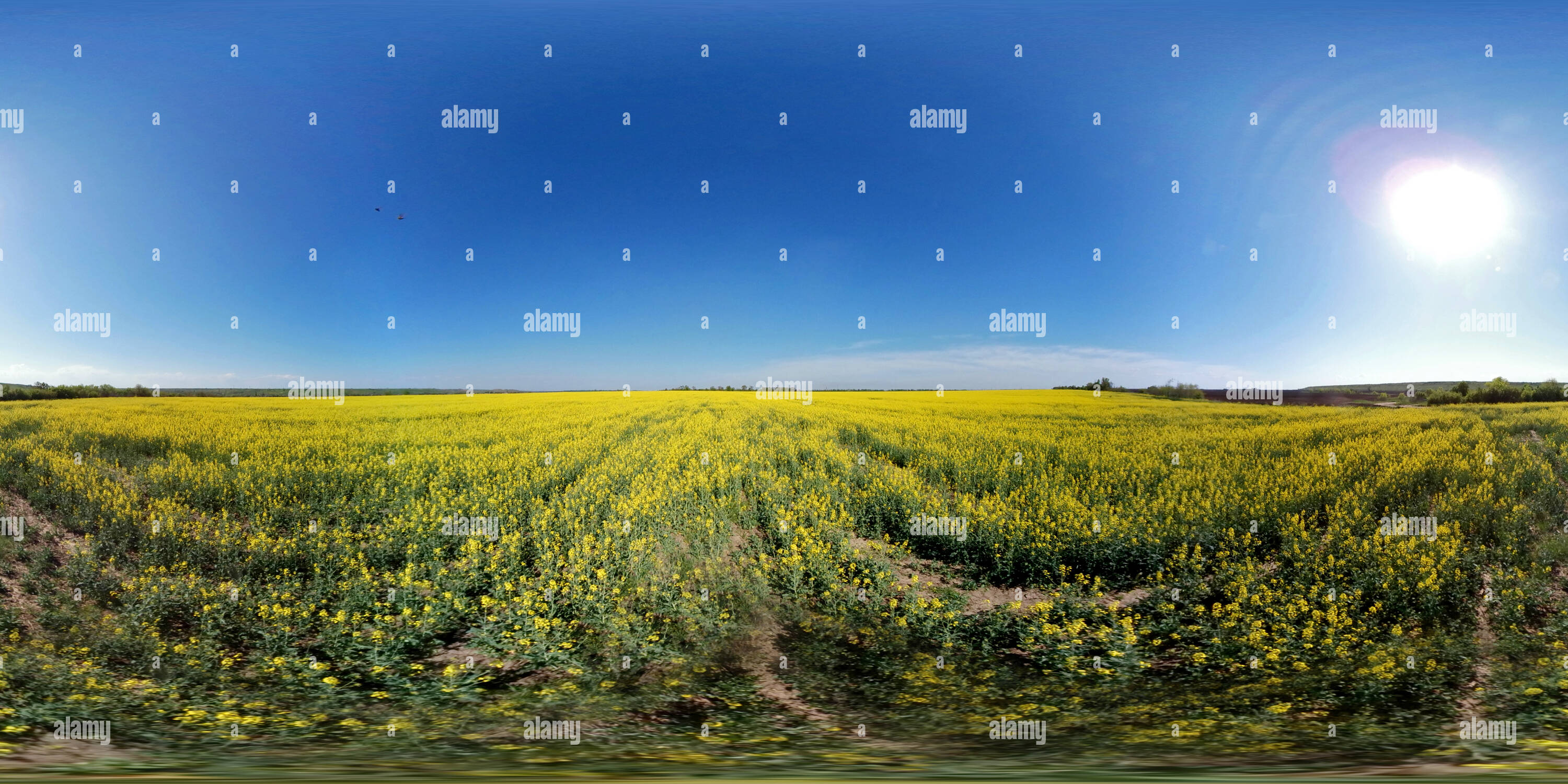 Nikopol hi-res stock photography and images - Alamy