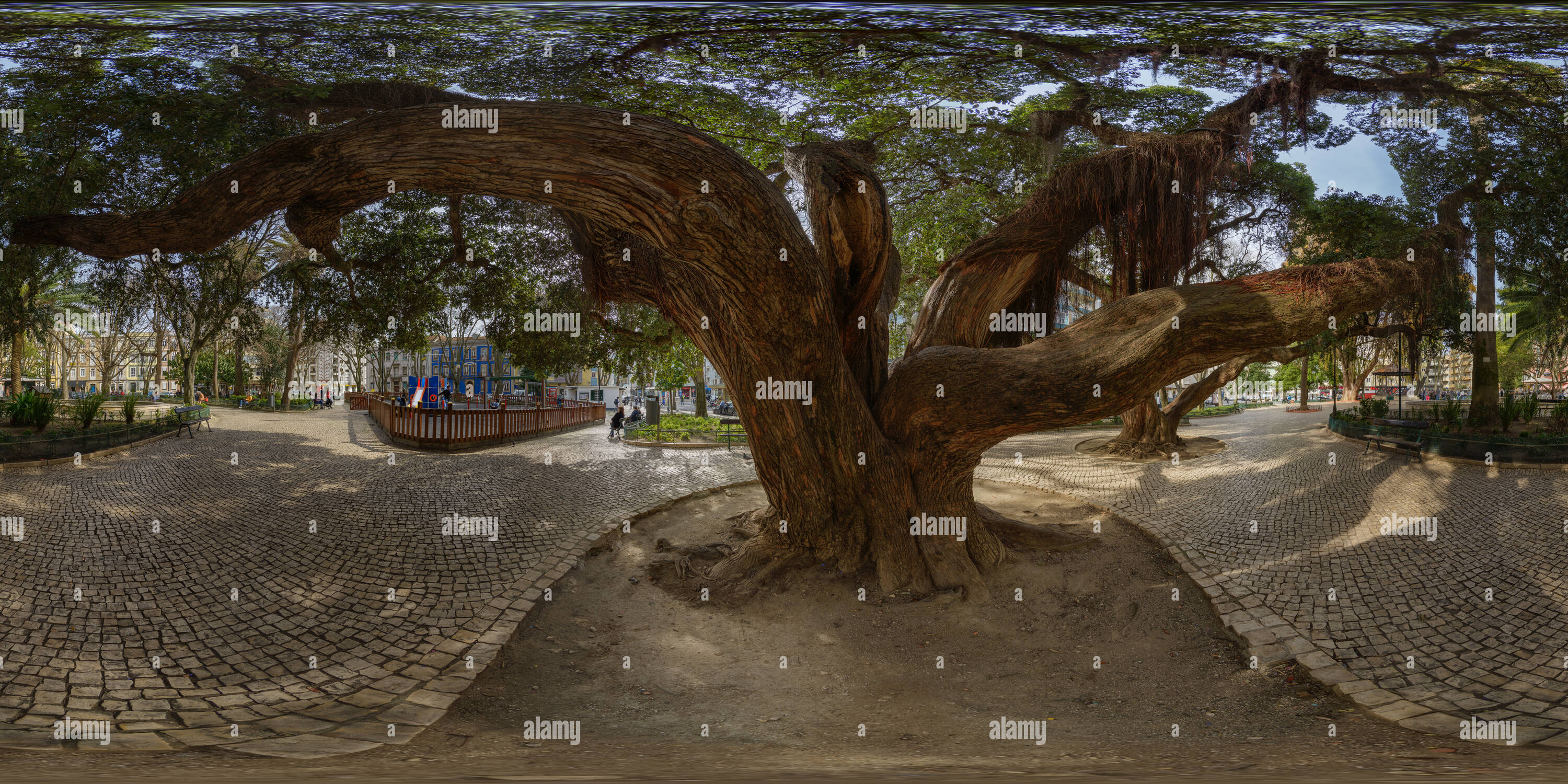 Campo de ourique lisbon portugal hi-res stock photography and images ...