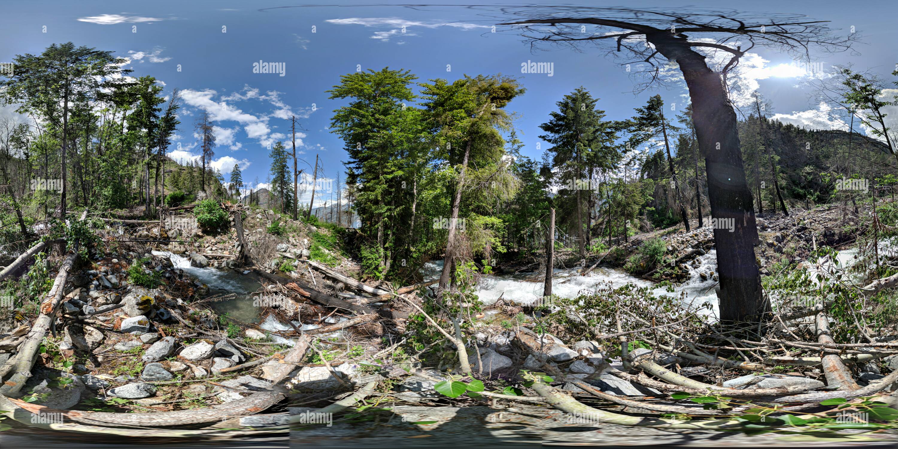 360° view of Domke Creek, Lake Chelan, WA - Alamy