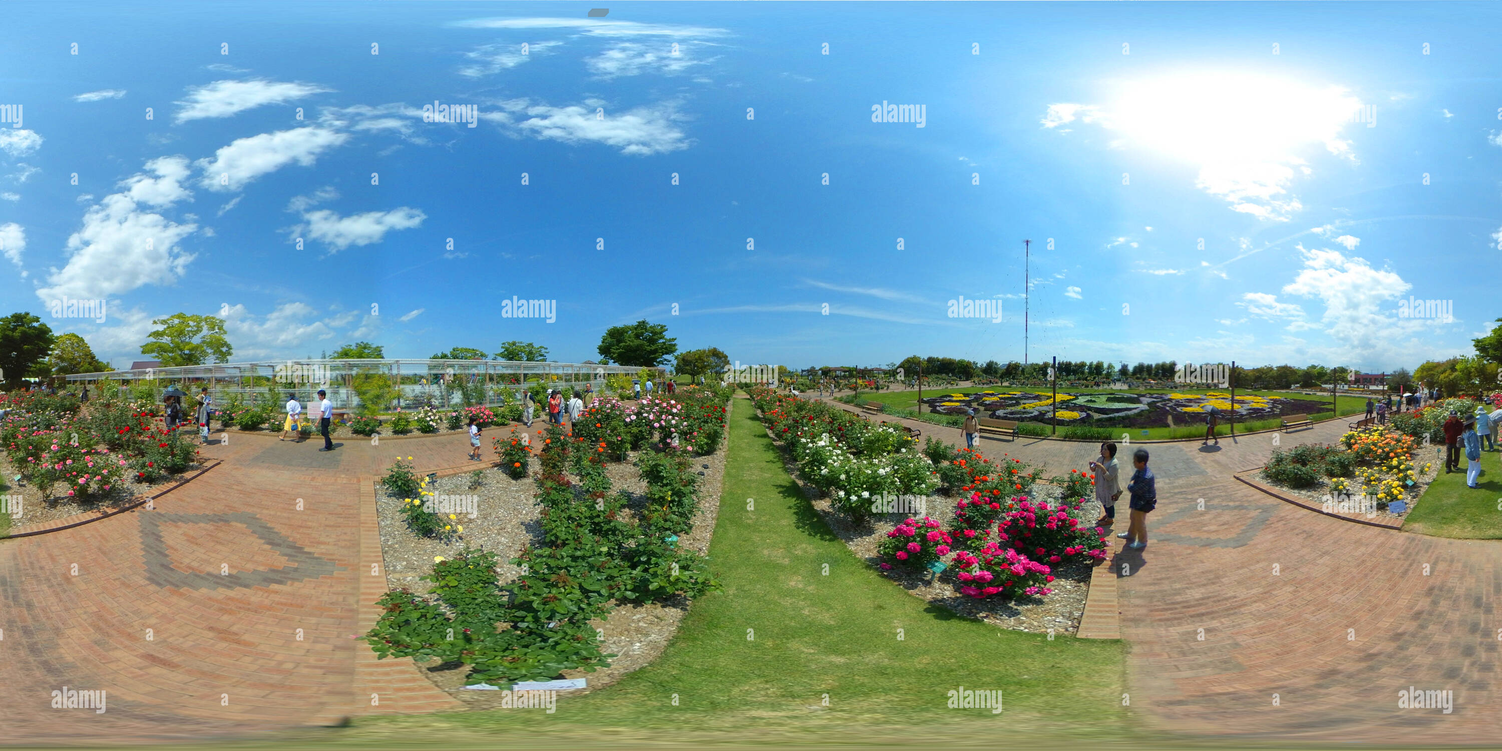 360° view of Rose garden at Sendai agriculture and horticulture center ...