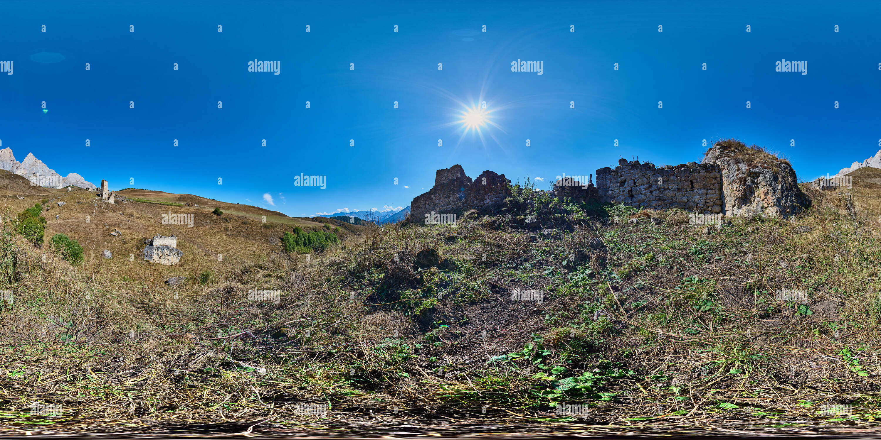 Besht hi-res stock photography and images - Alamy
