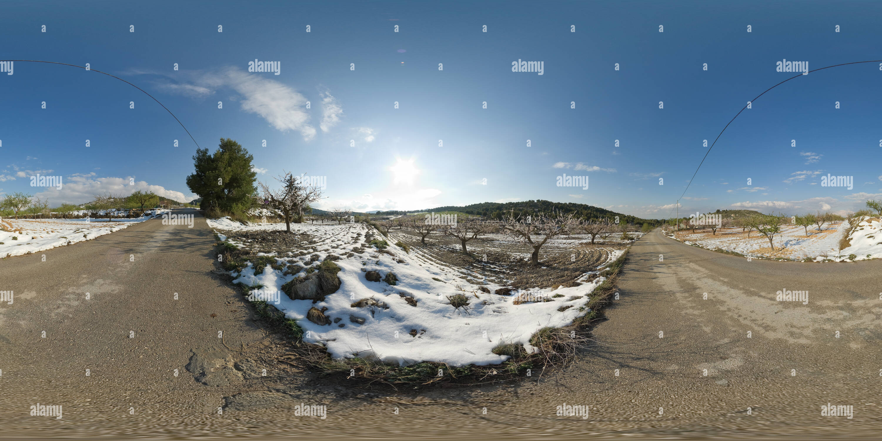 360° view of Almendros en Bullas (Murcia - Alamy