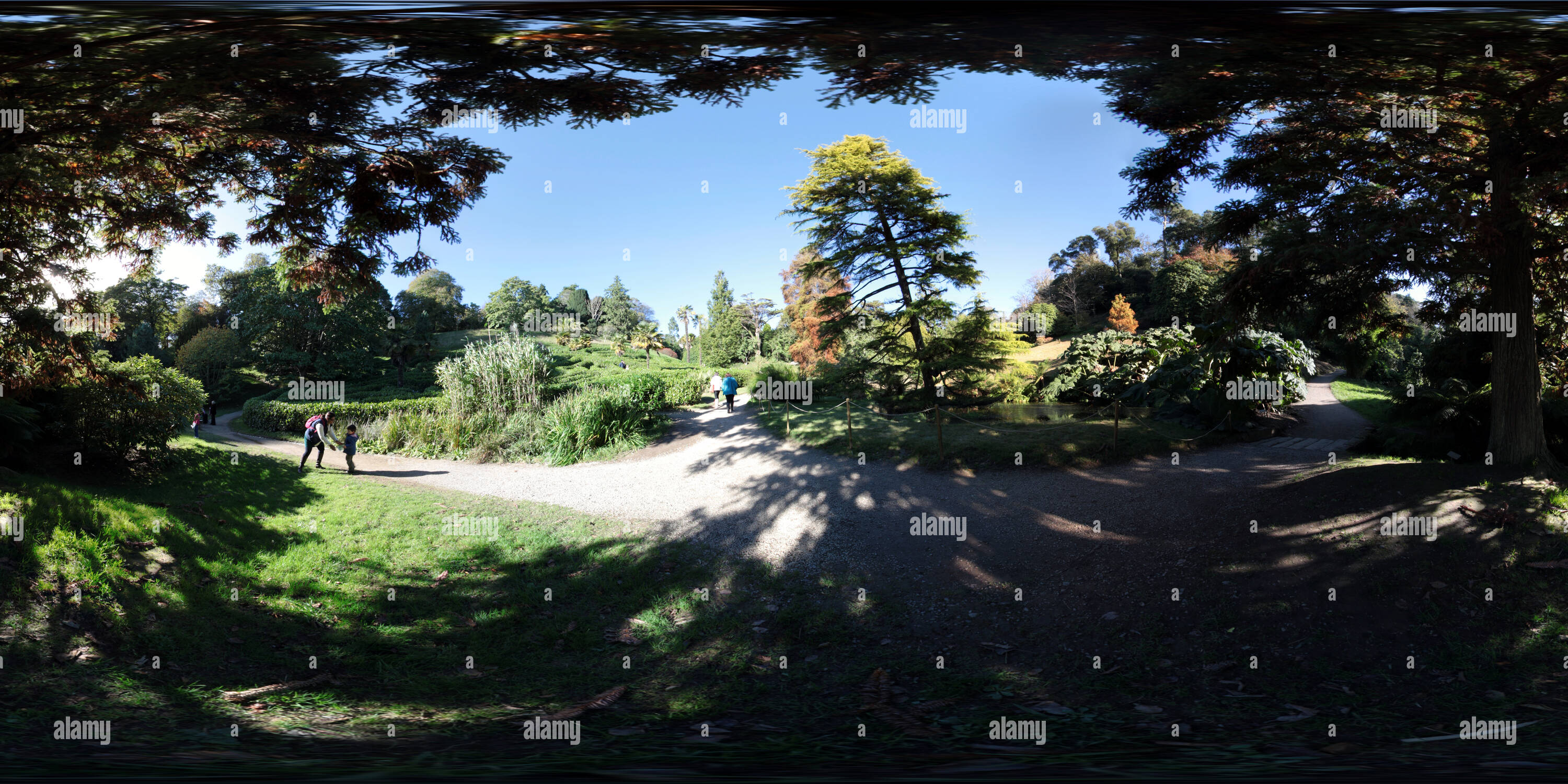 360° view of Glendurgan Autumn under-tree panorama - Alamy