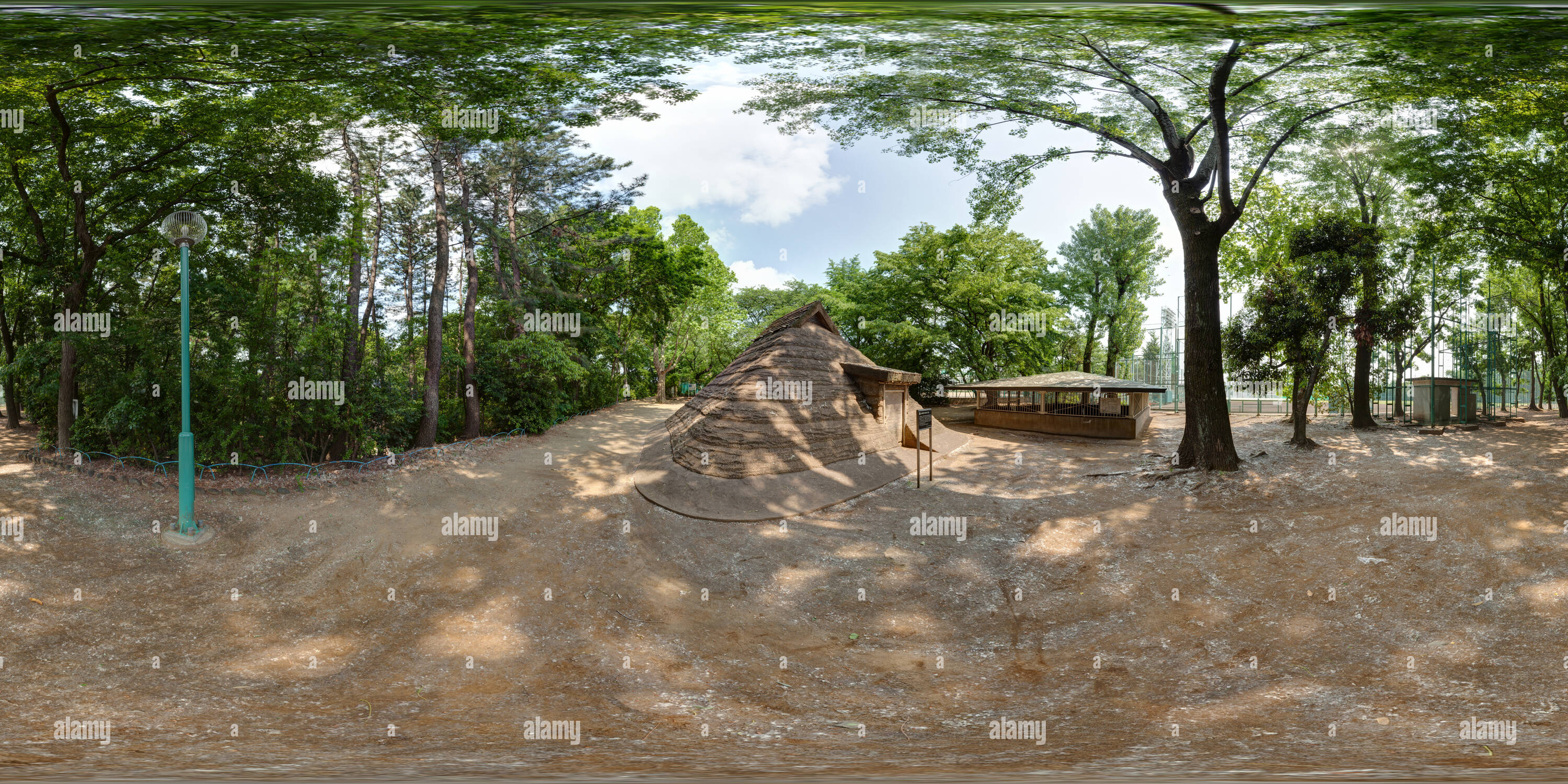 Matsunoki hi-res stock photography and images - Alamy