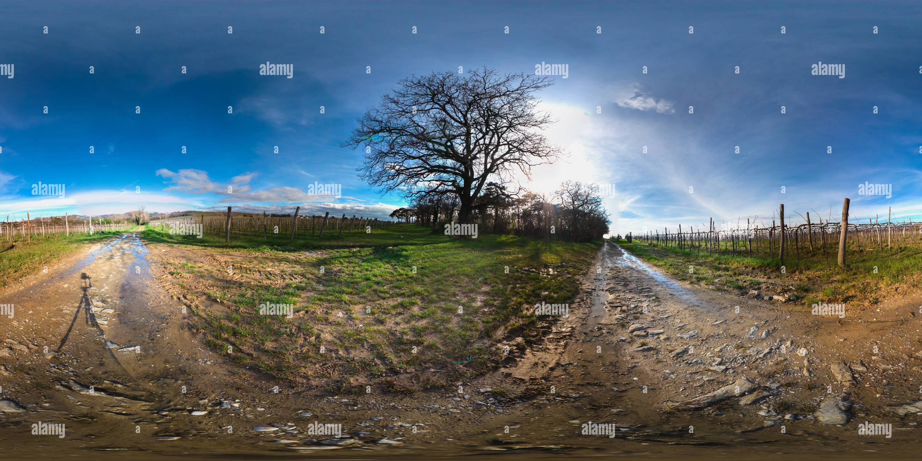 360° view of Debeli Rtič - Slovenija - Alamy