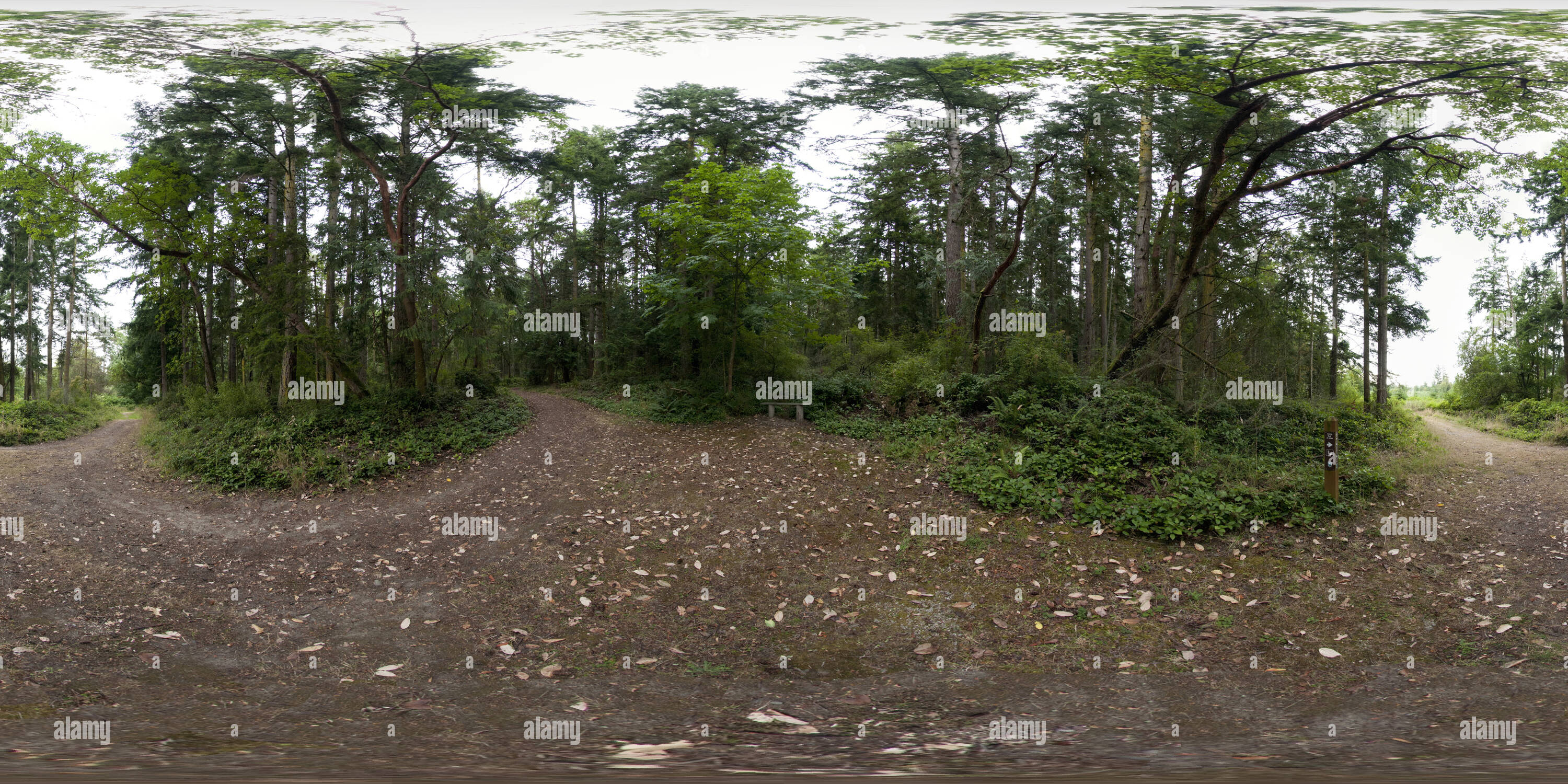 360° view of Anti-Aircraft Battery Trail - Fort Flagler State Park ...