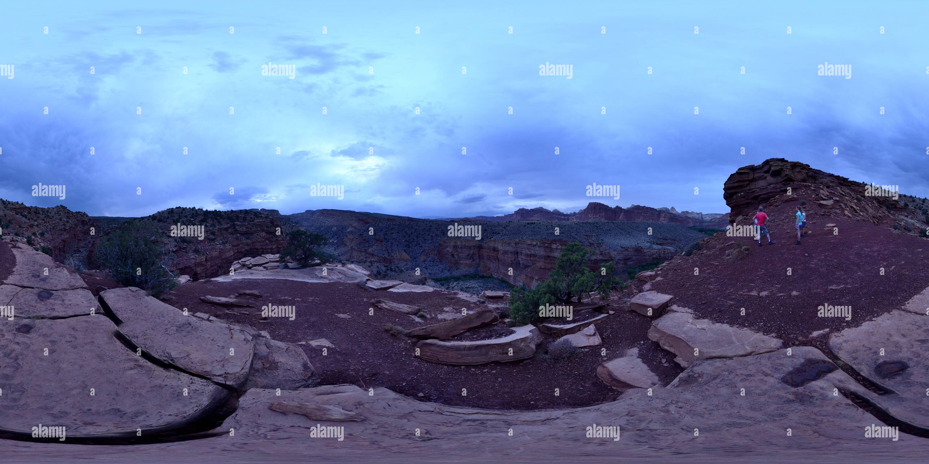 The reef los angeles building hi-res stock photography and images - Alamy