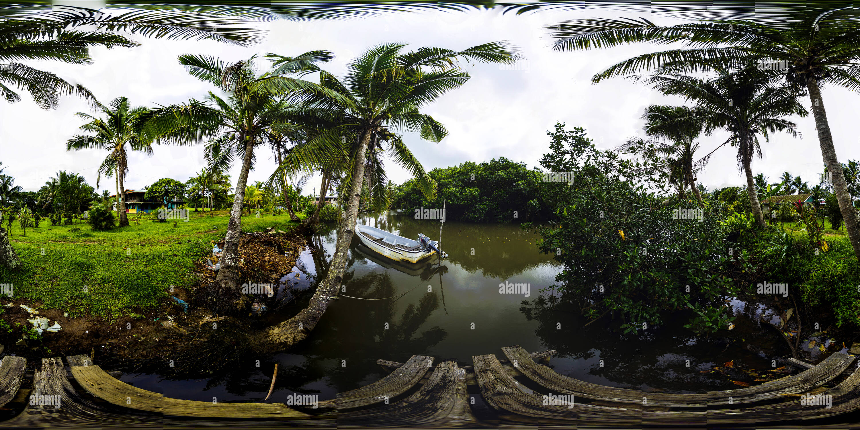 360° view of Mangrove wetlands in the Rewa delta - Alamy