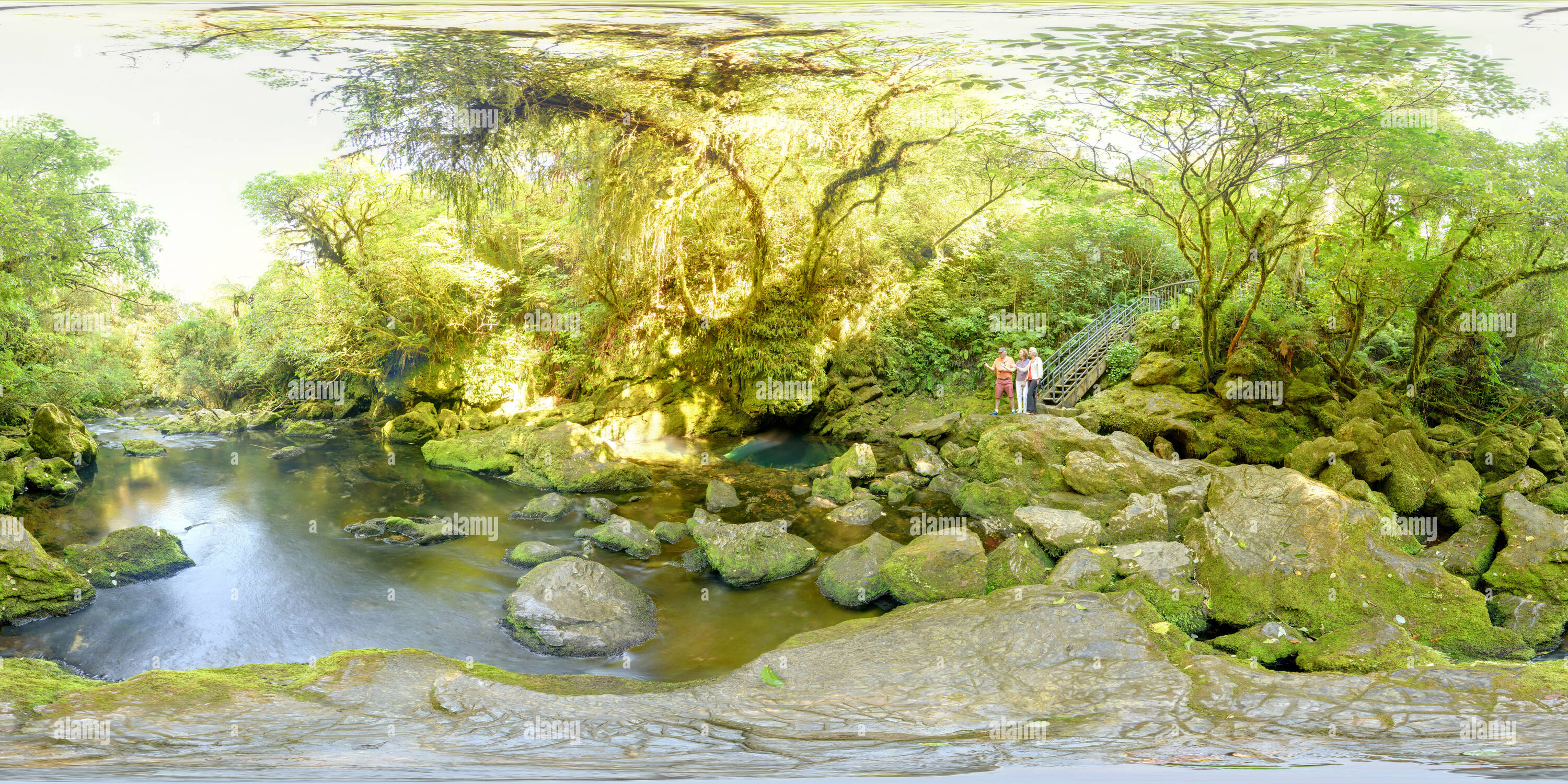 Riwaka hi-res stock photography and images - Alamy