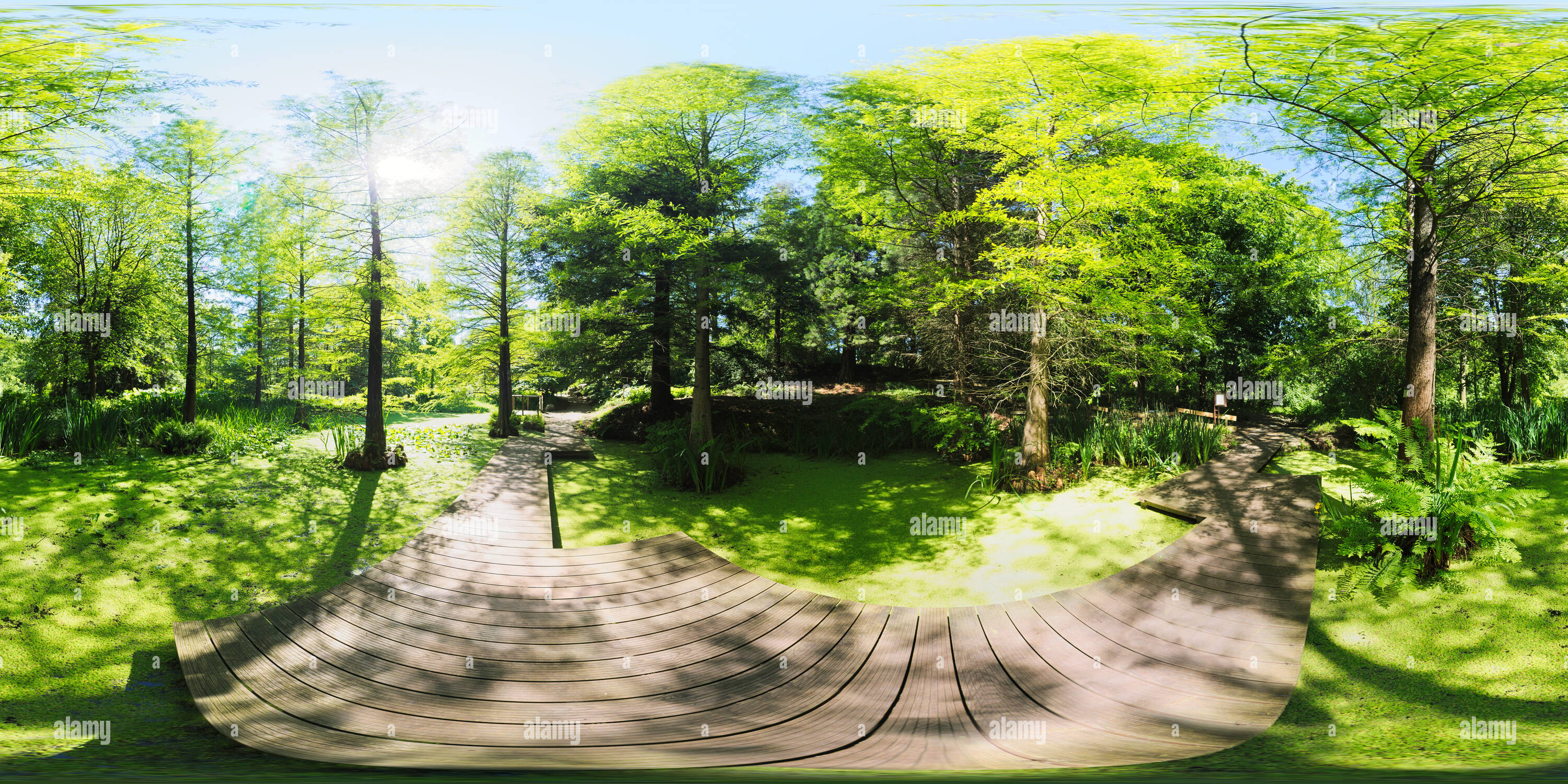 360° view of In the botanical garden - Alamy
