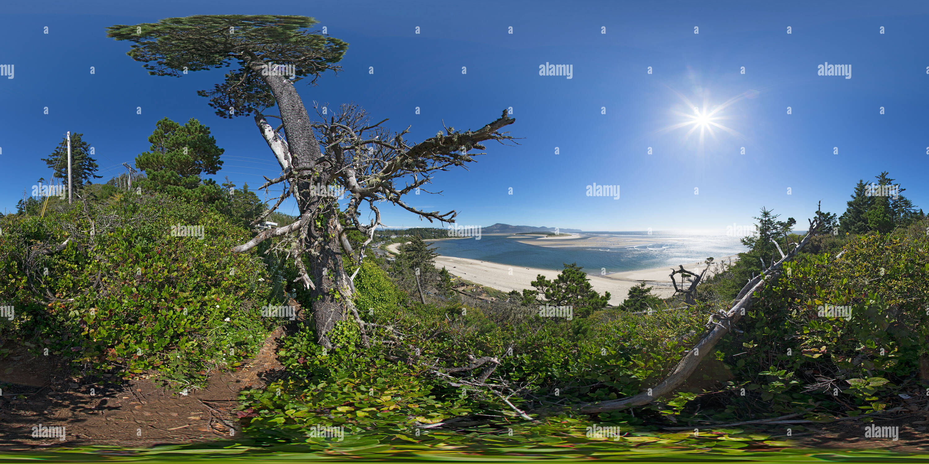 360° view of Looking south over Netarts Bay - Alamy