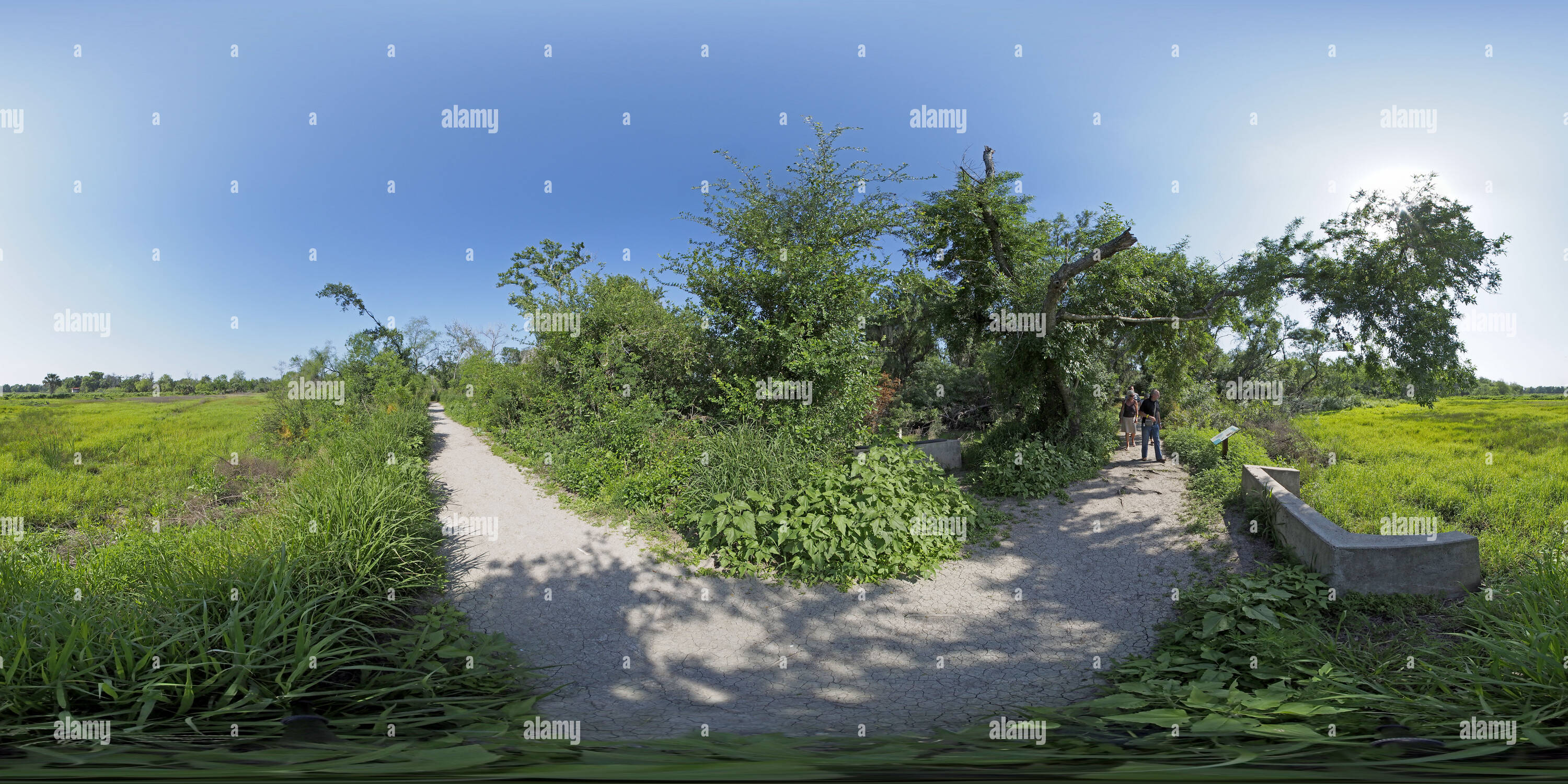 360° view of Low levee trail at Santa Ana Refuge - Alamy