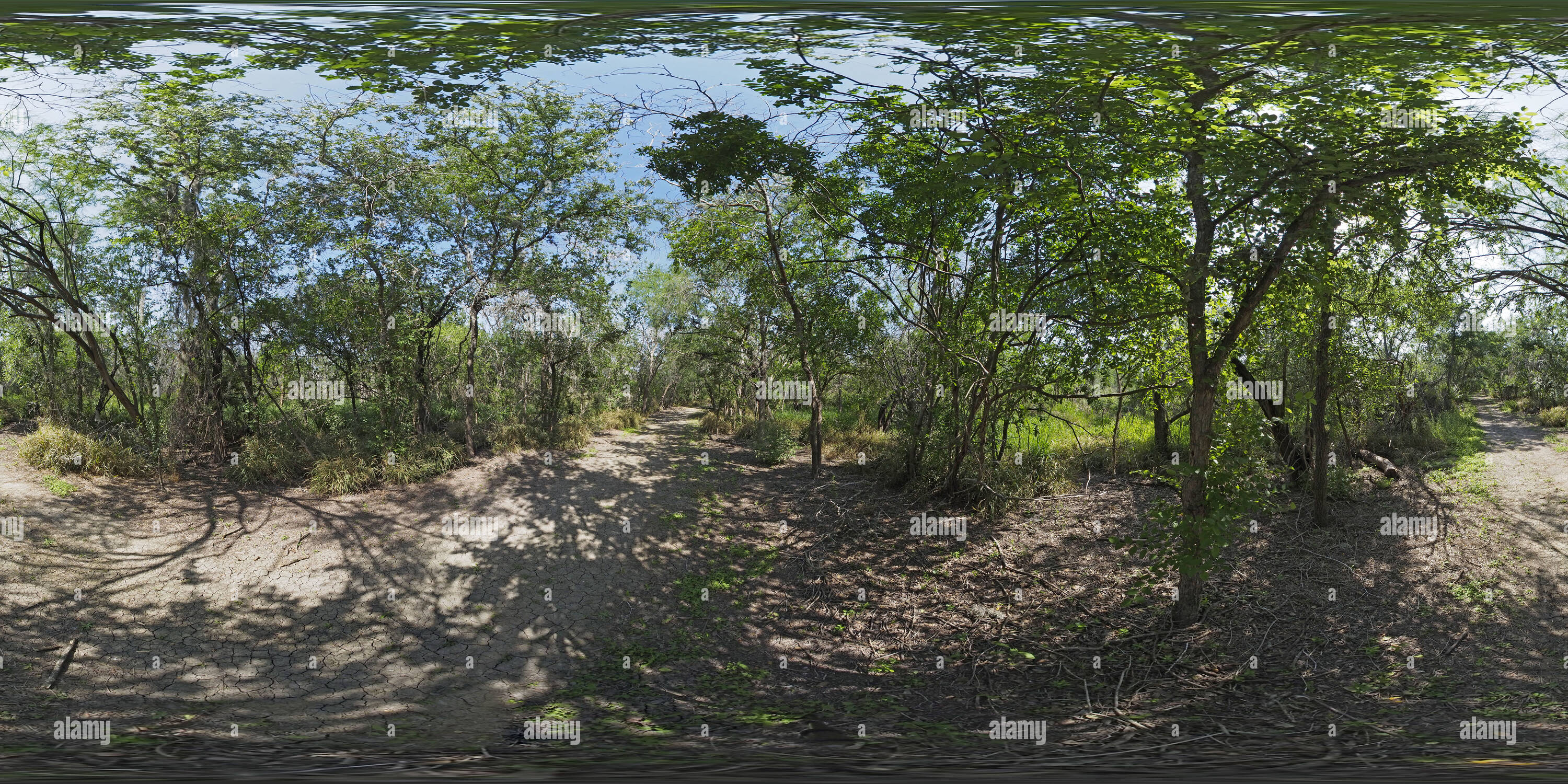 Santa ana national wildlife refuge hi-res stock photography and images ...