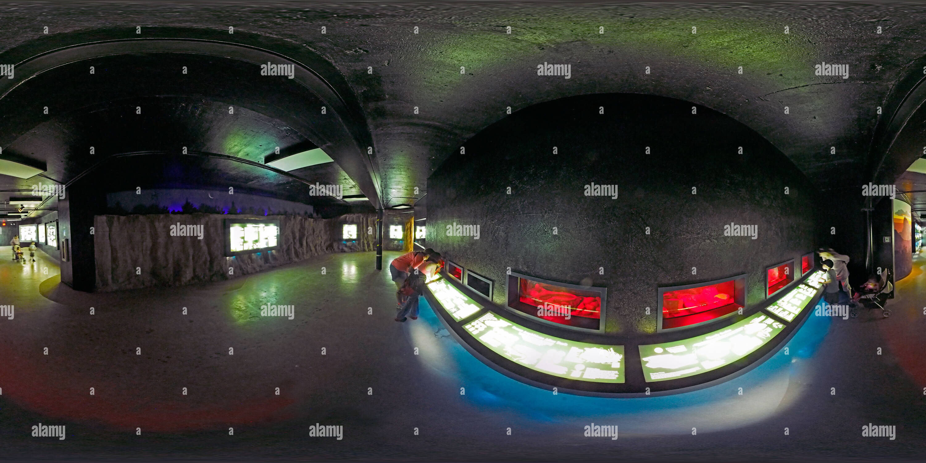 360° view of Nocturnal animals display - Alamy