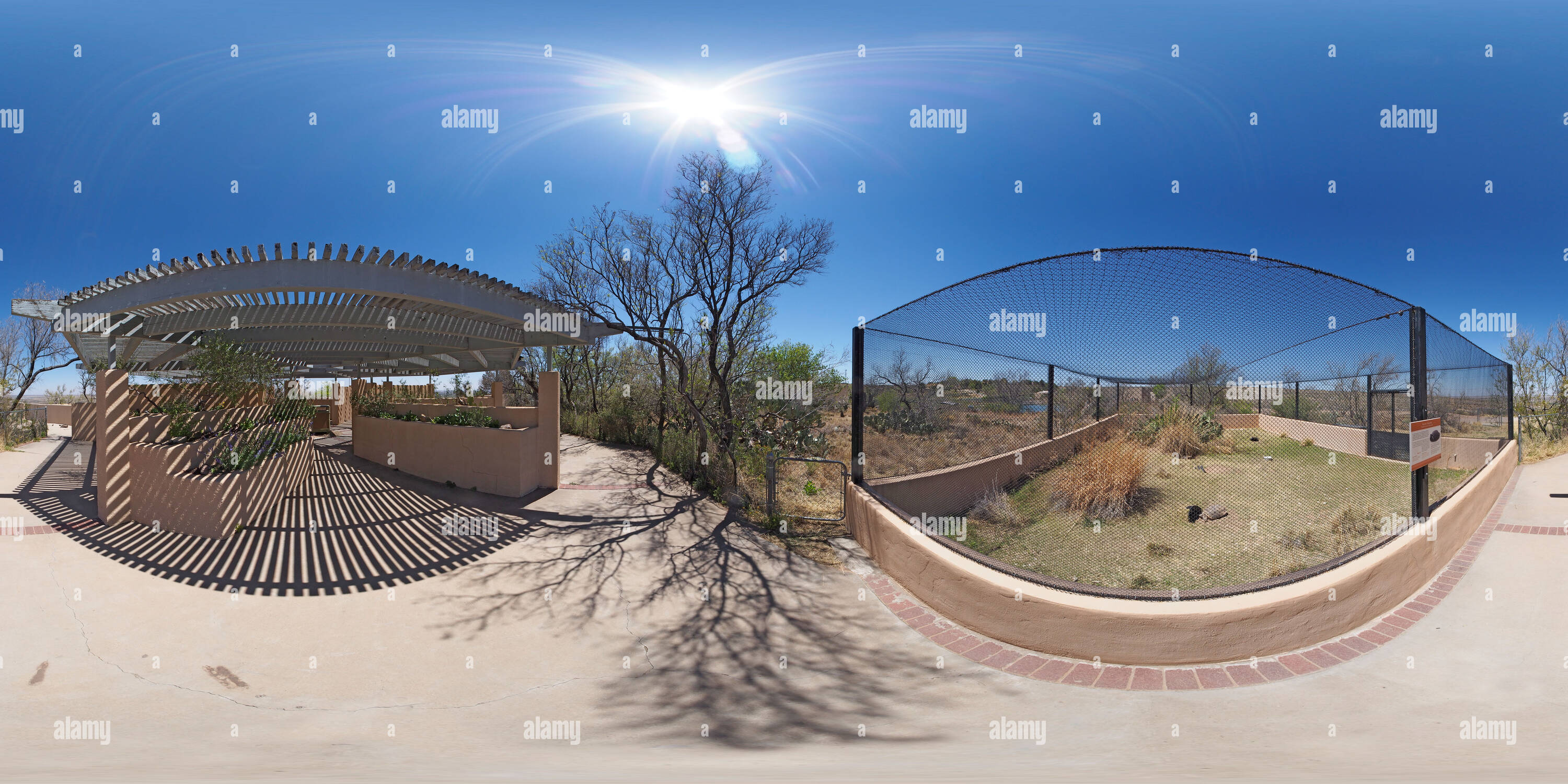 360° view of Desert tortoises at Living Desert - Alamy