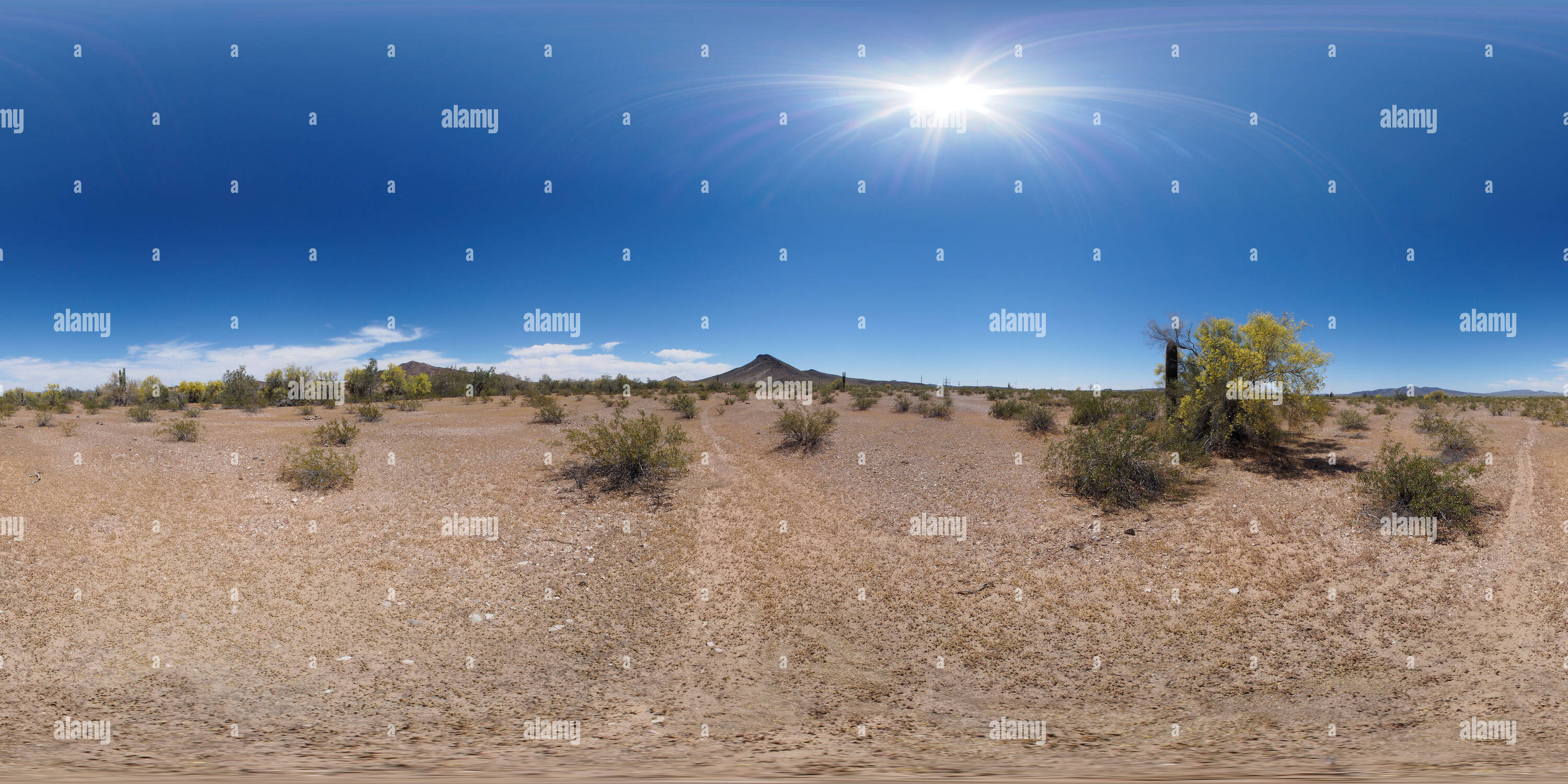 360° view of Faint trails through the desert at Painted Rock - Alamy