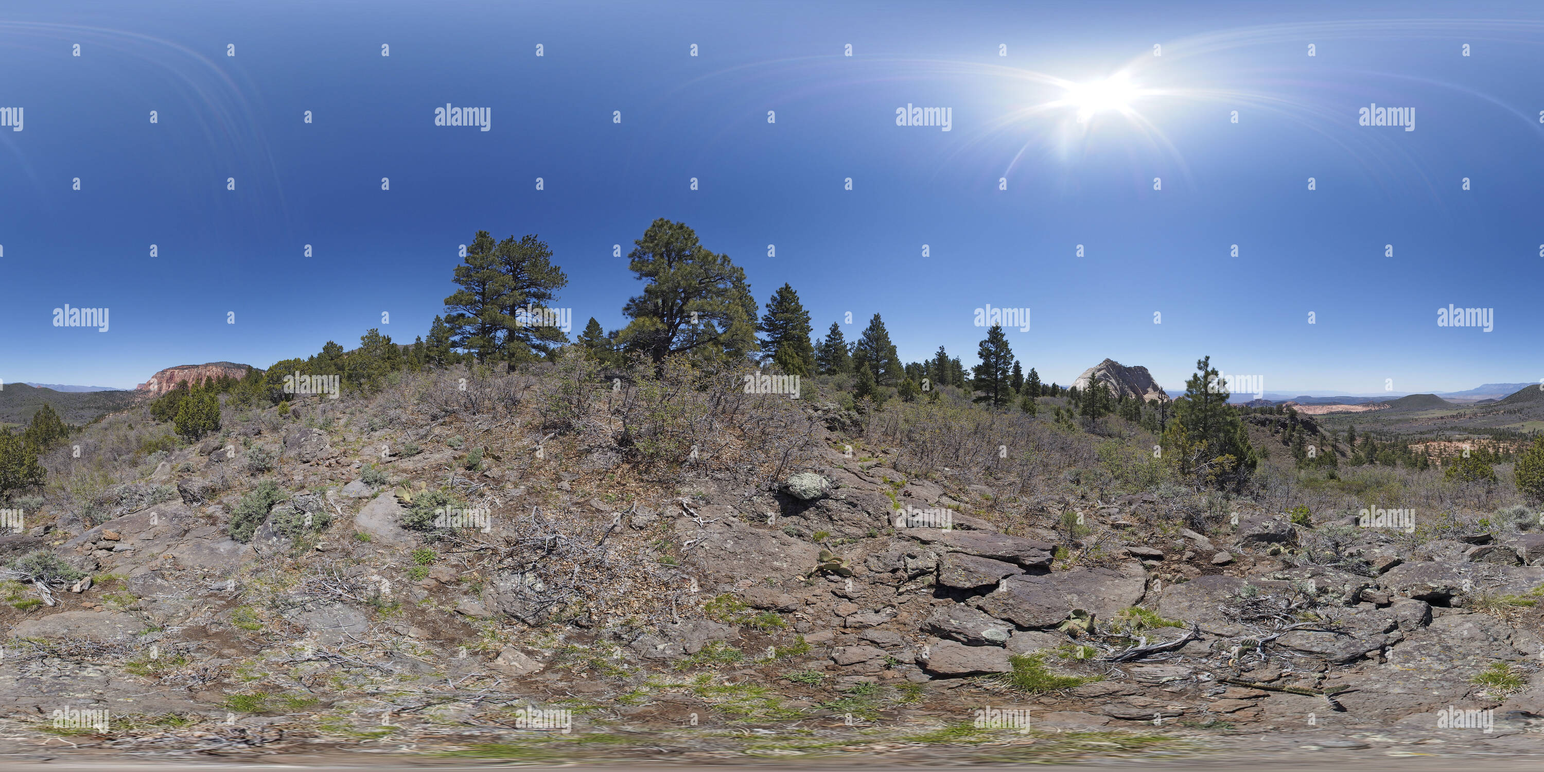 Kolob terrace road hi-res stock photography and images - Alamy