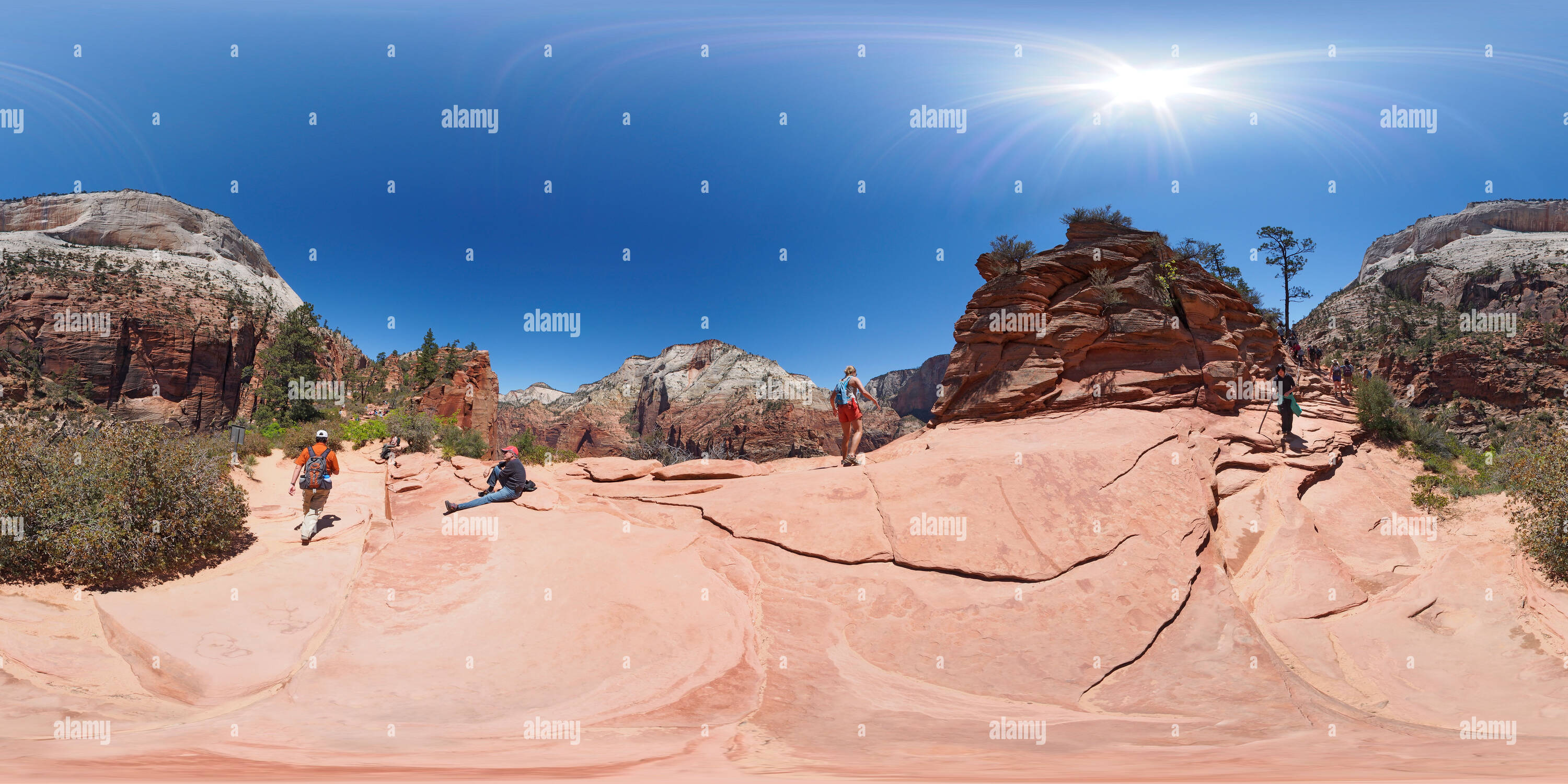 360° view of Scout Lookout on the West Rim trail - Alamy