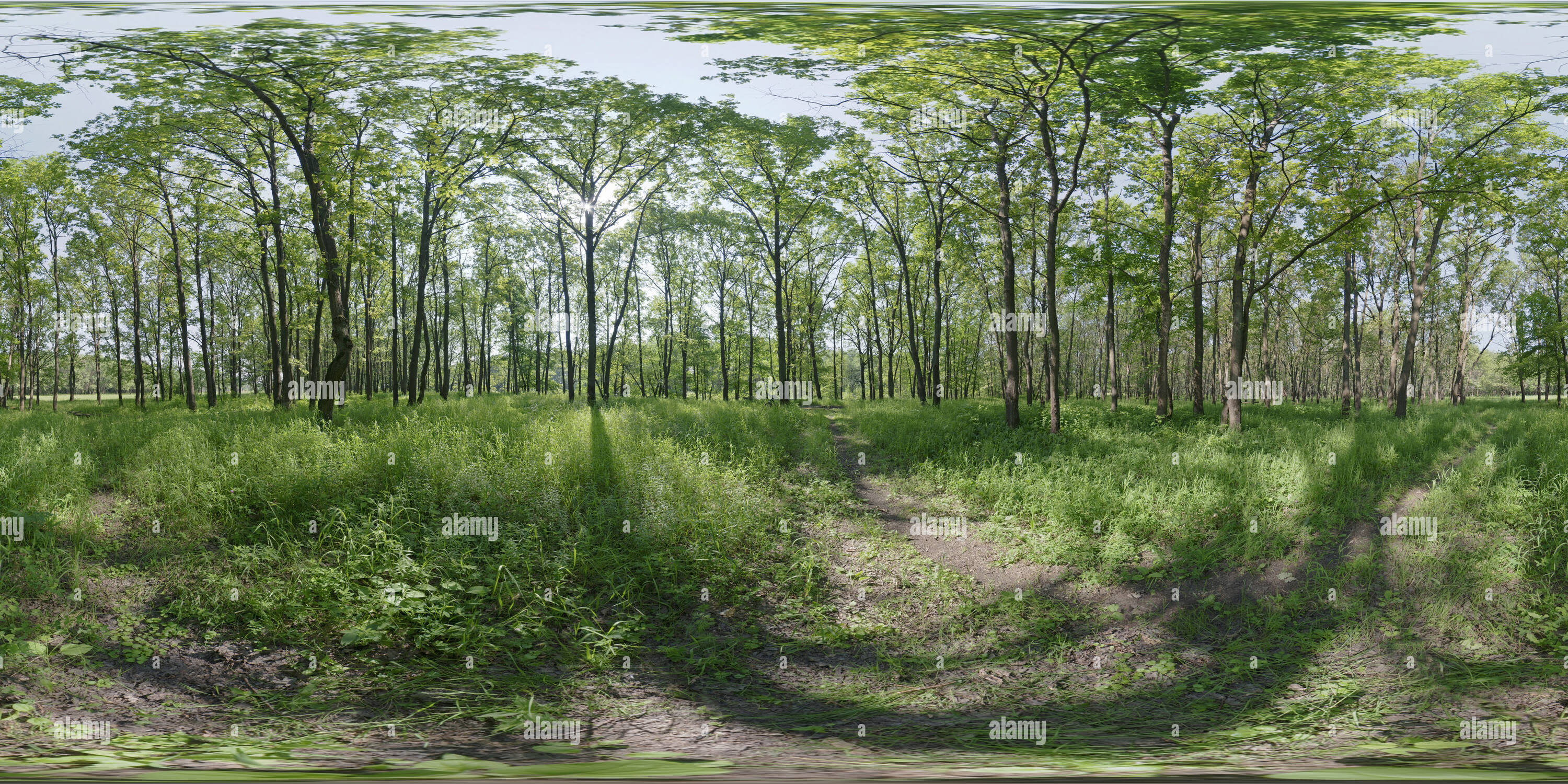 360° view of Nature of Dz - Alamy