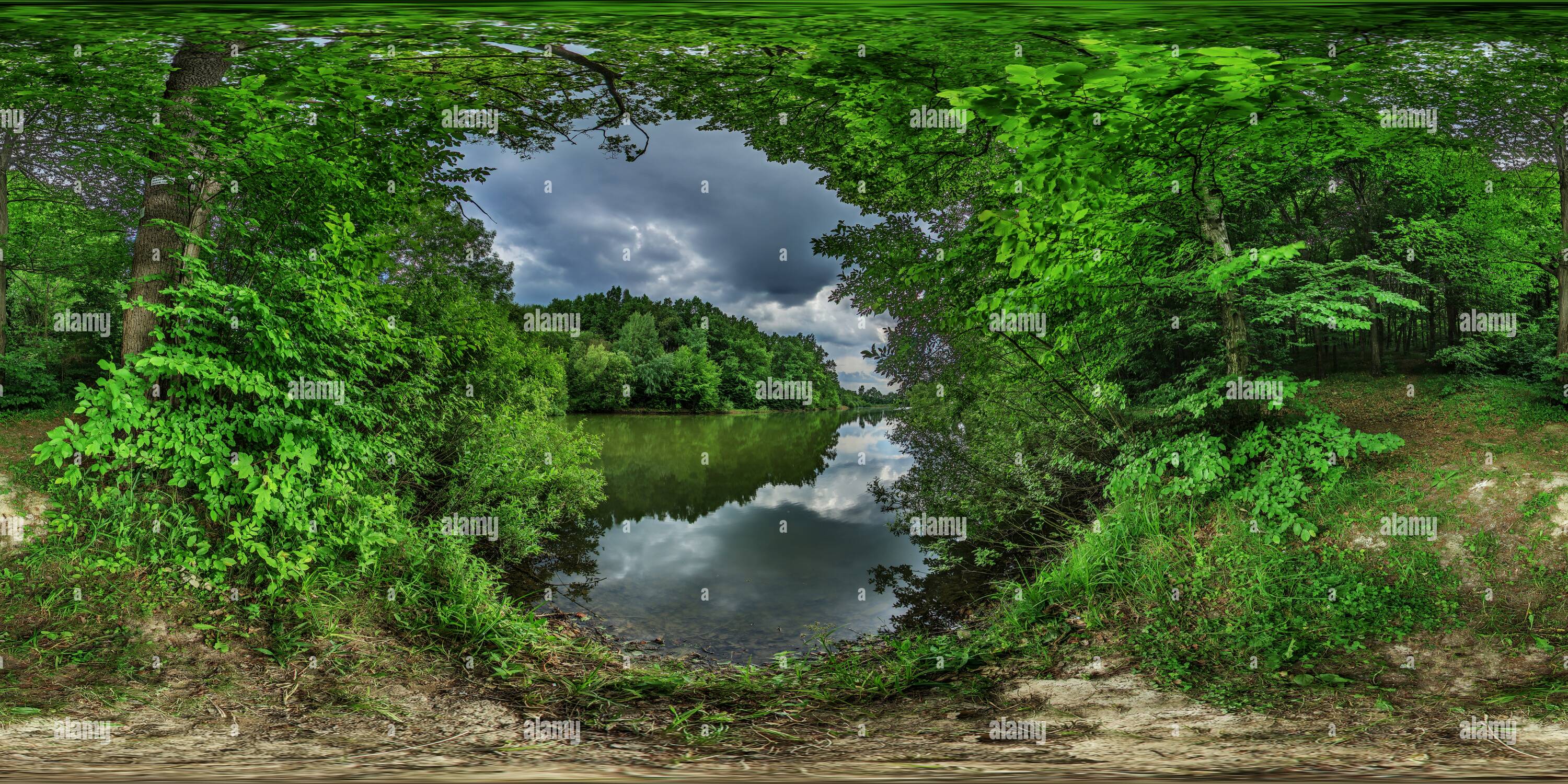 360° view of Forest pond before thunderstorm - Alamy