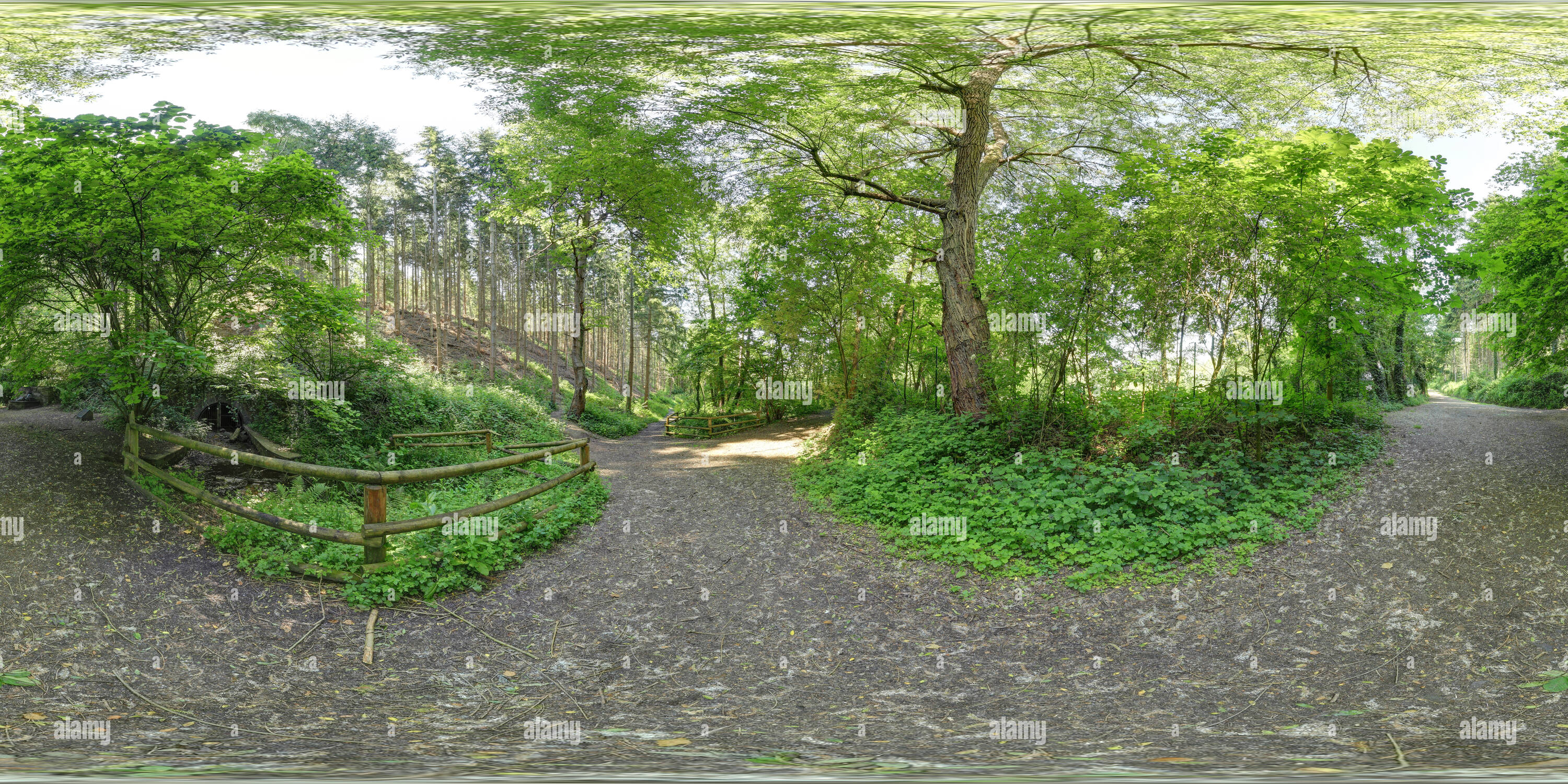 360° view of Adit entrance of Gouley coal mine - Alamy