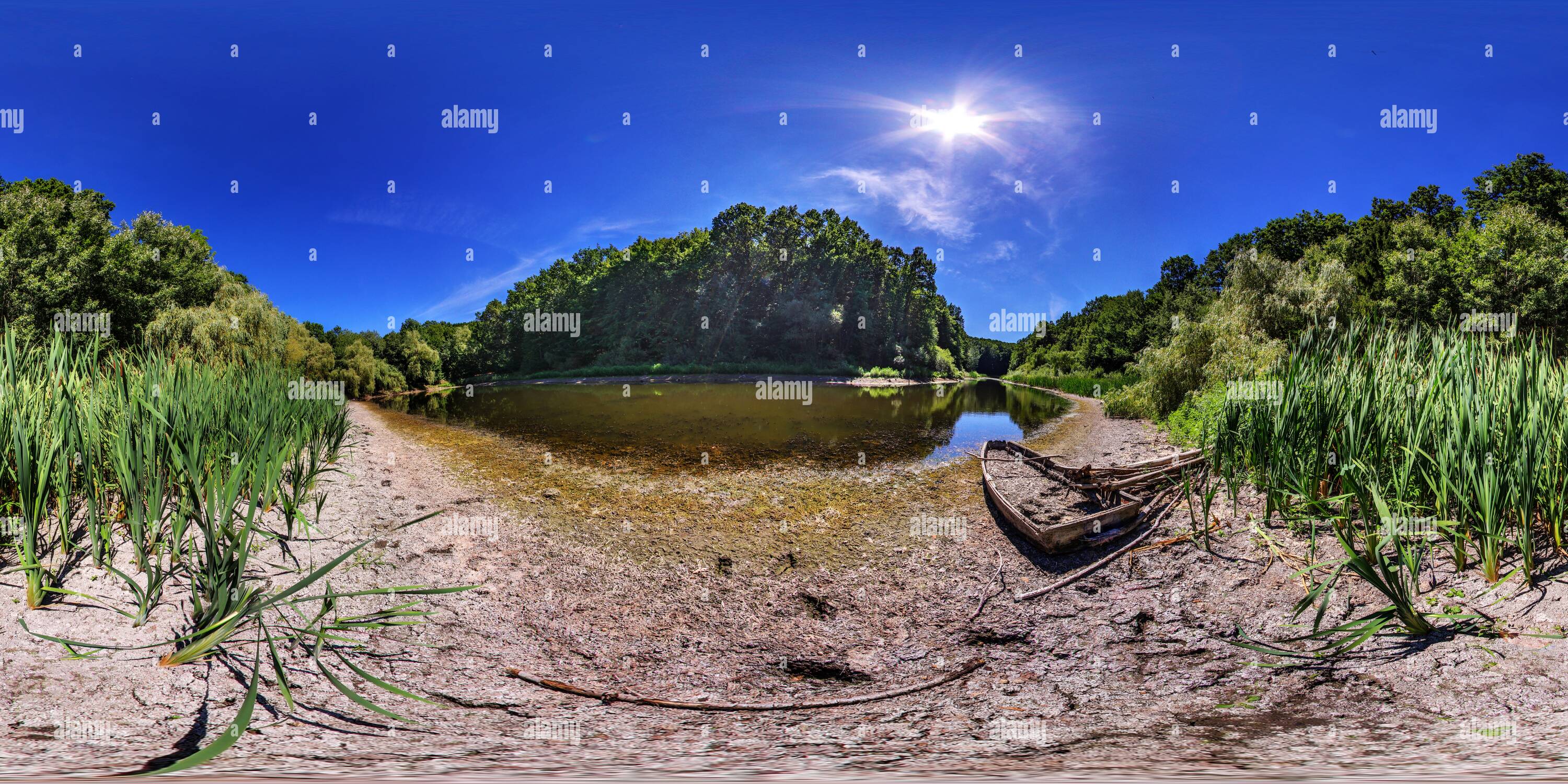 360° view of The drying pond in the wood - Alamy