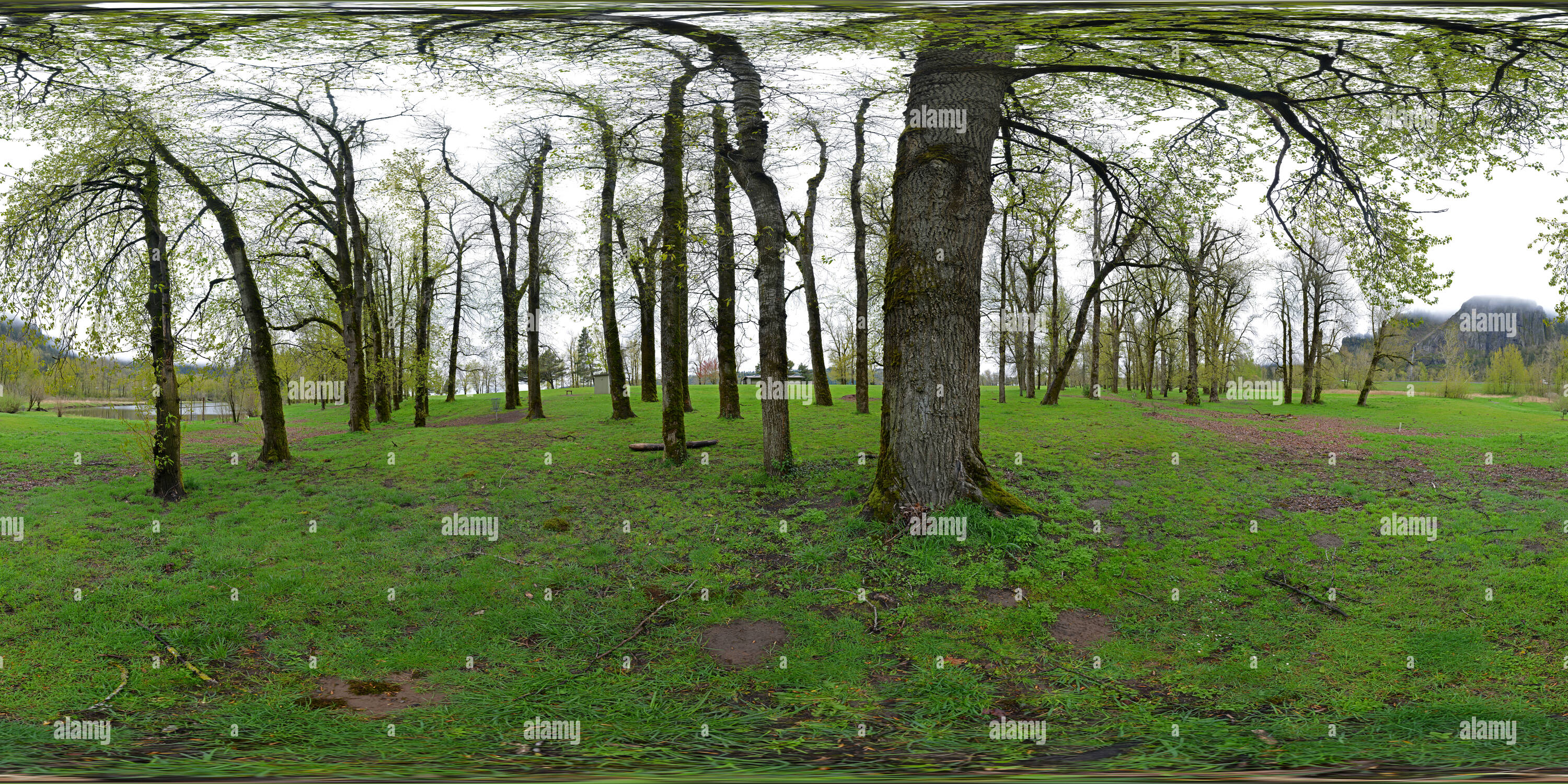 Rooster rock state park hi-res stock photography and images - Alamy