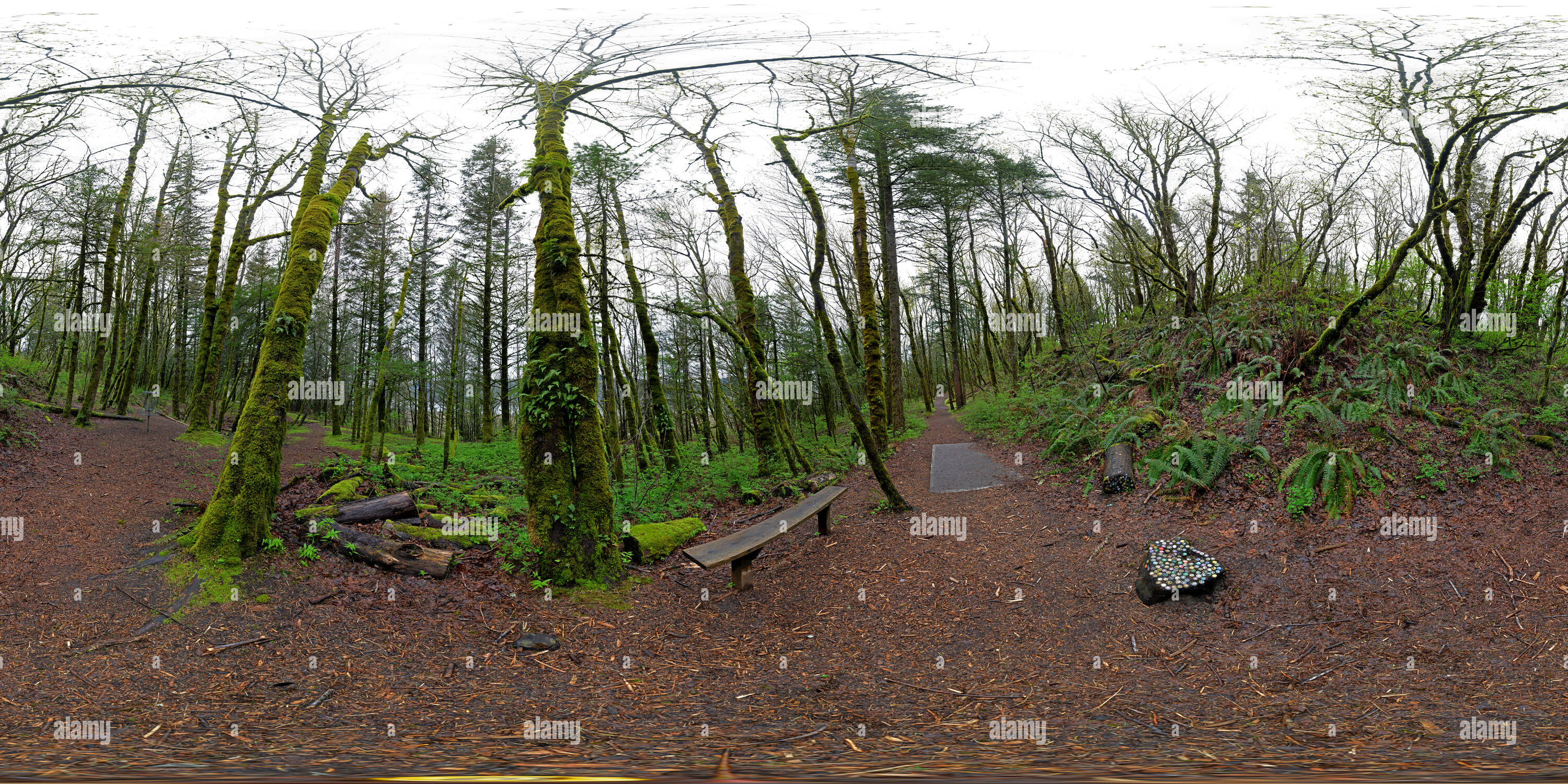 Rooster rock state park hi-res stock photography and images - Alamy