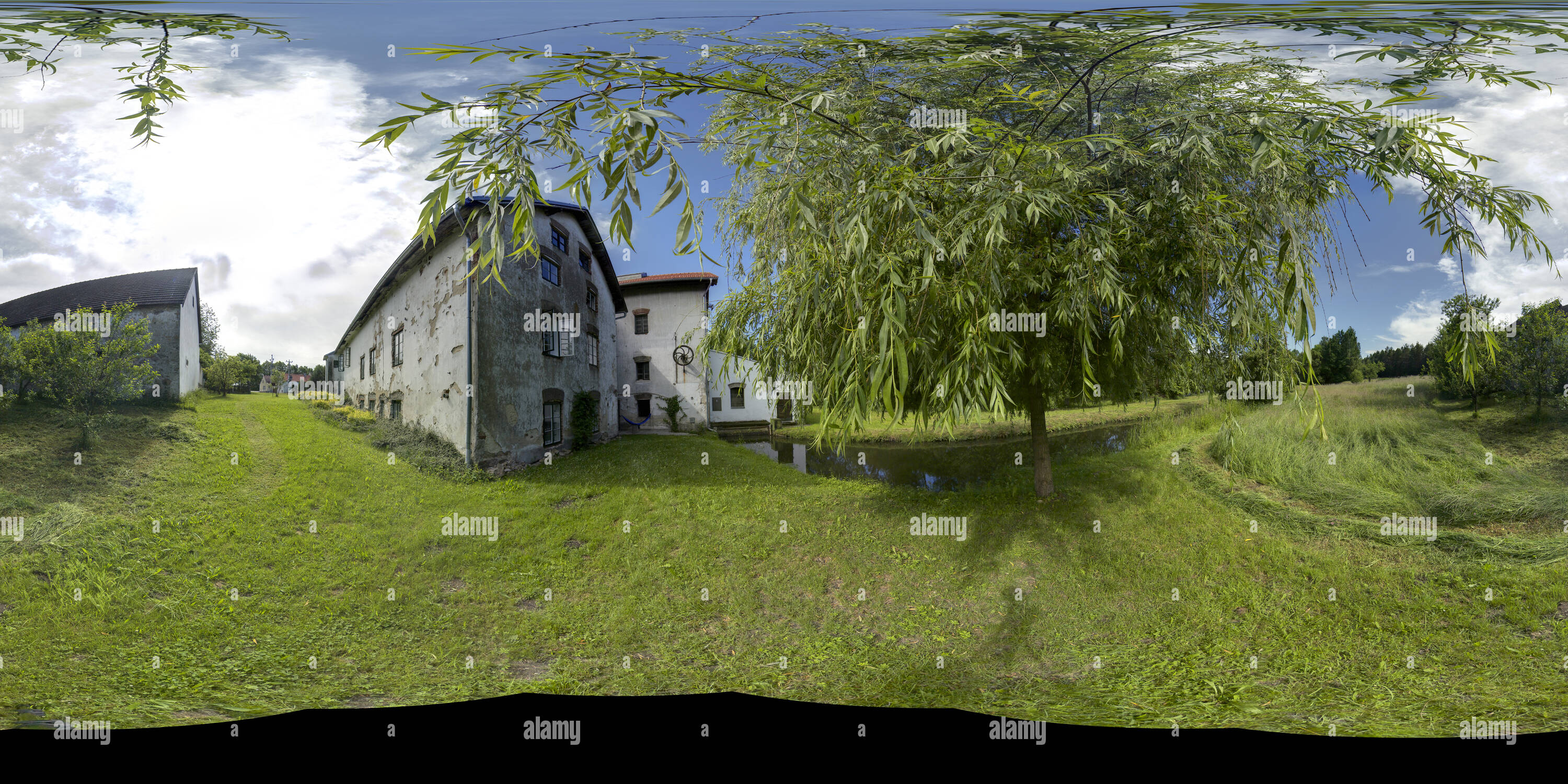 360° view of Behind the Old Mill: Willow Tree - Alamy