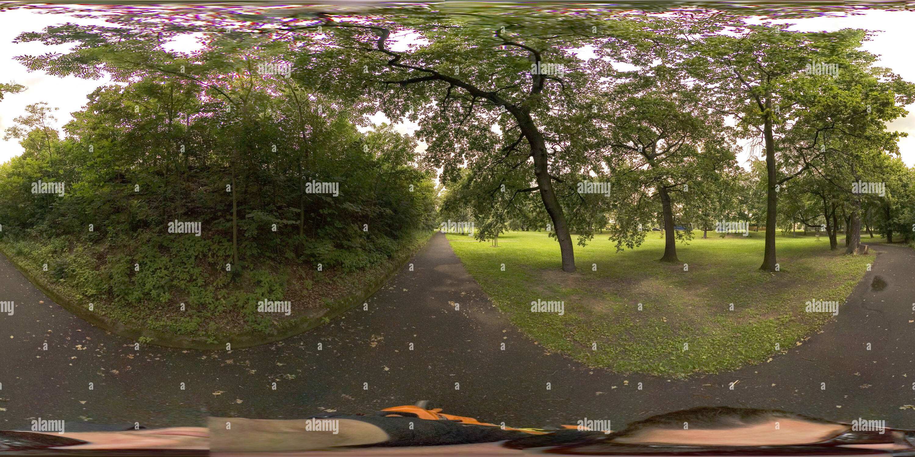 360° view of Walking in Stromovka Park 2 - Alamy