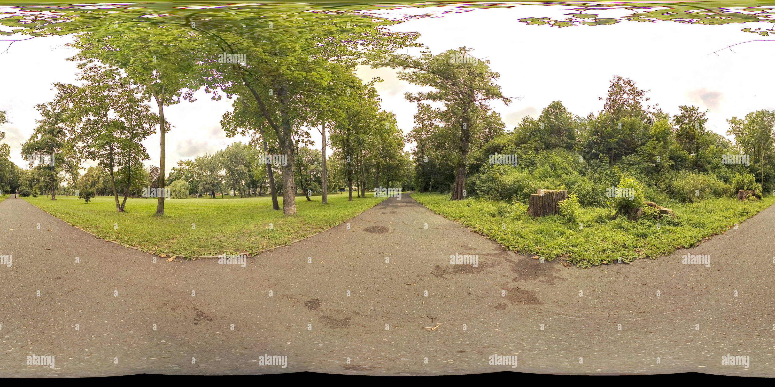360° view of Walking in Stromovka Park 12 - Alamy