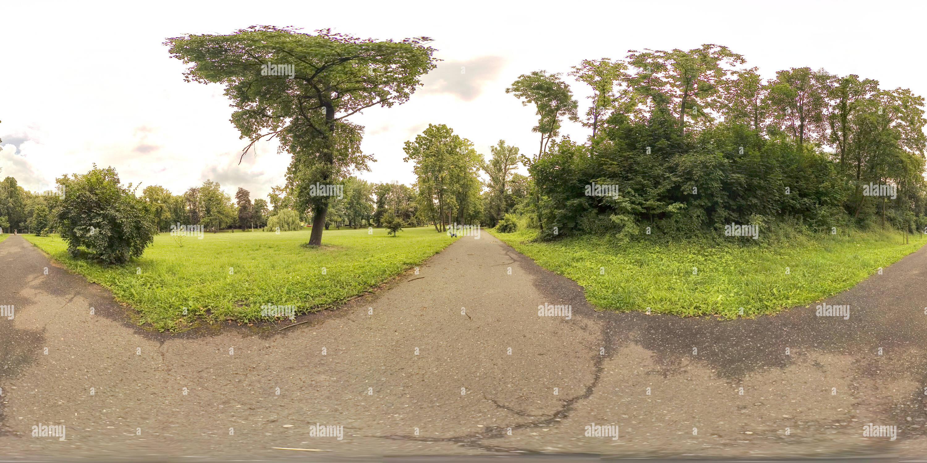 360° view of Walking in Stromovka Park 13 - Alamy