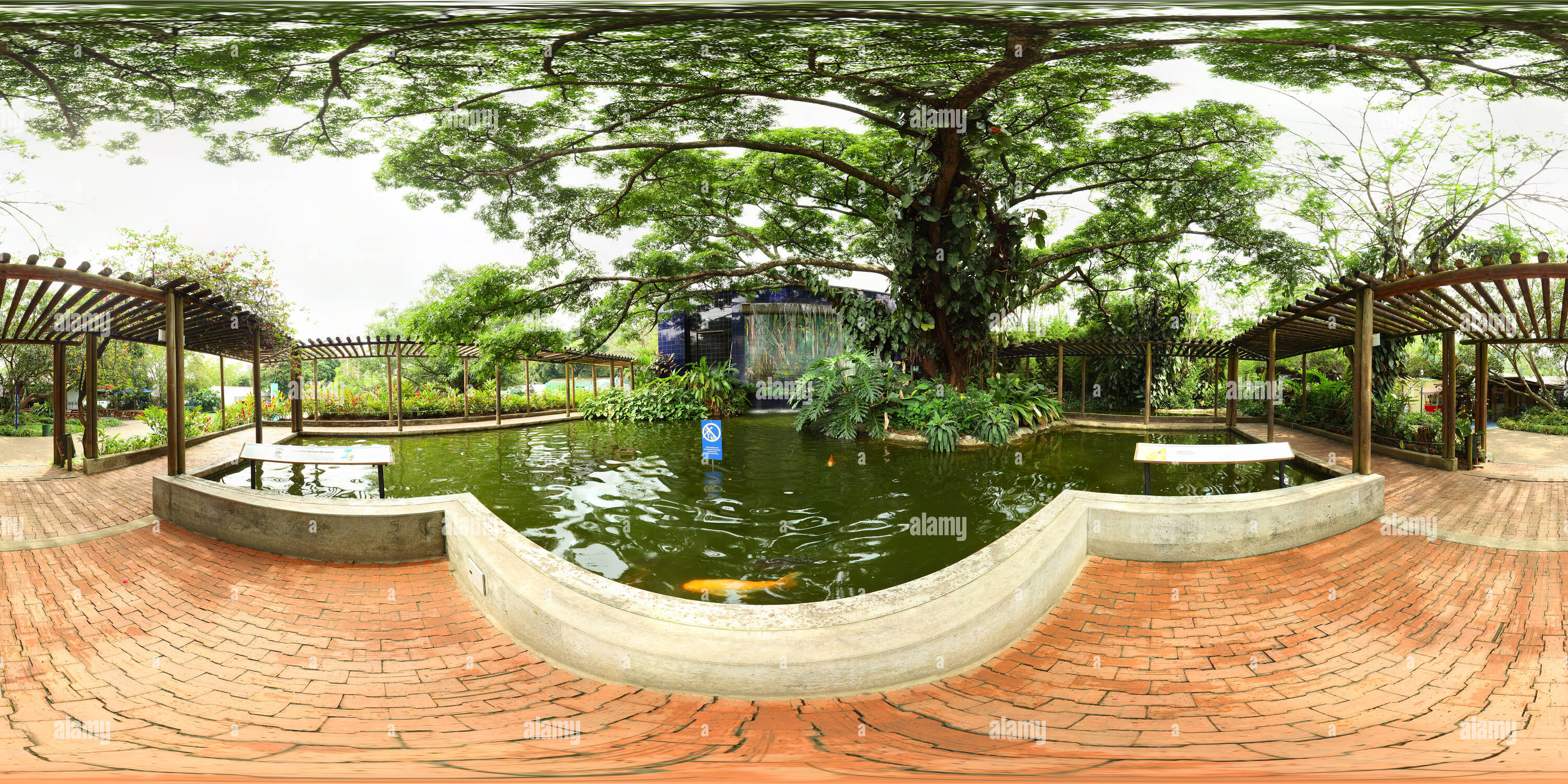 Cali zoo hi-res stock photography and images - Alamy