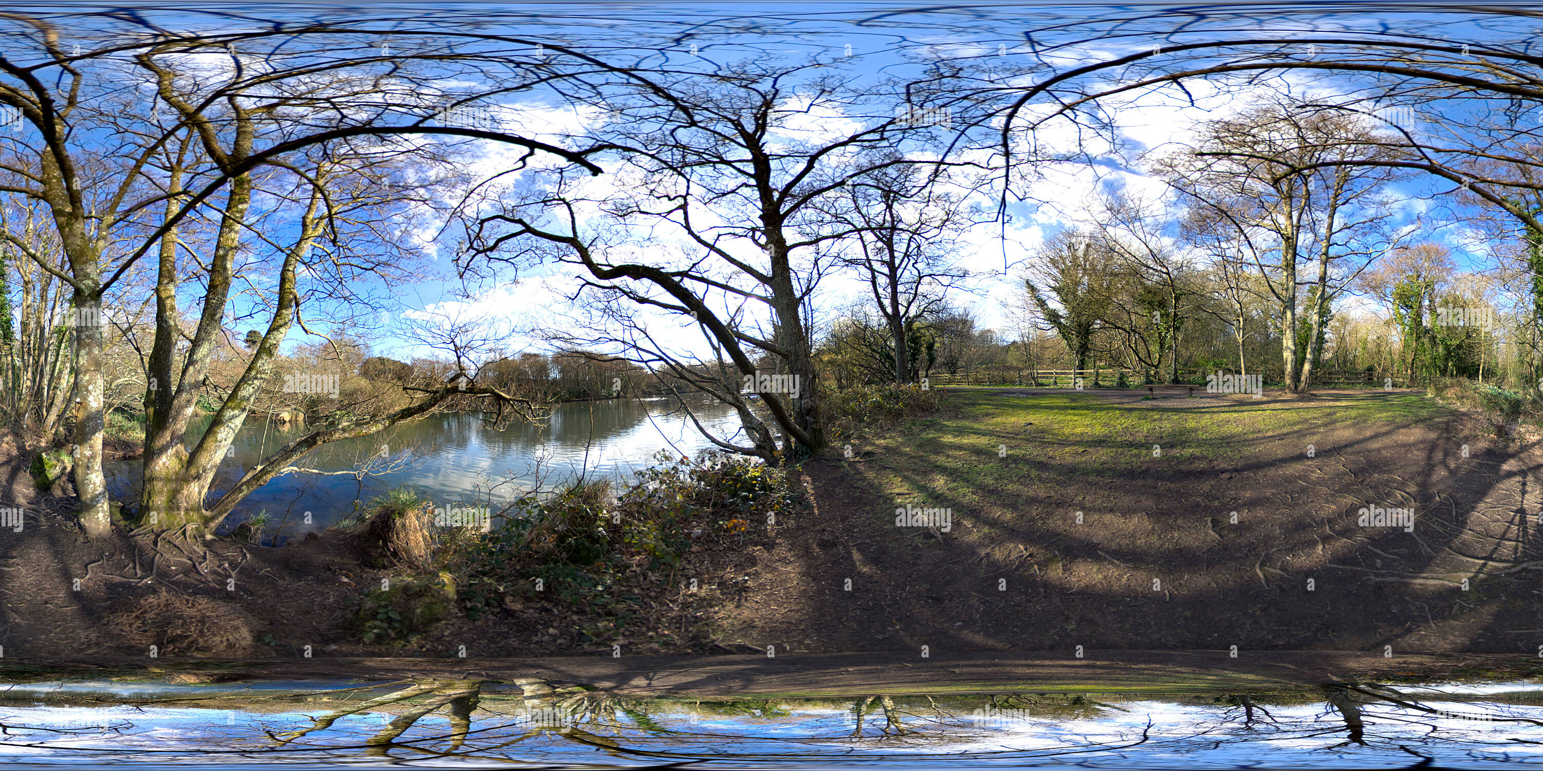 360° view of Tehidy Woods, View Of A Lake - Alamy