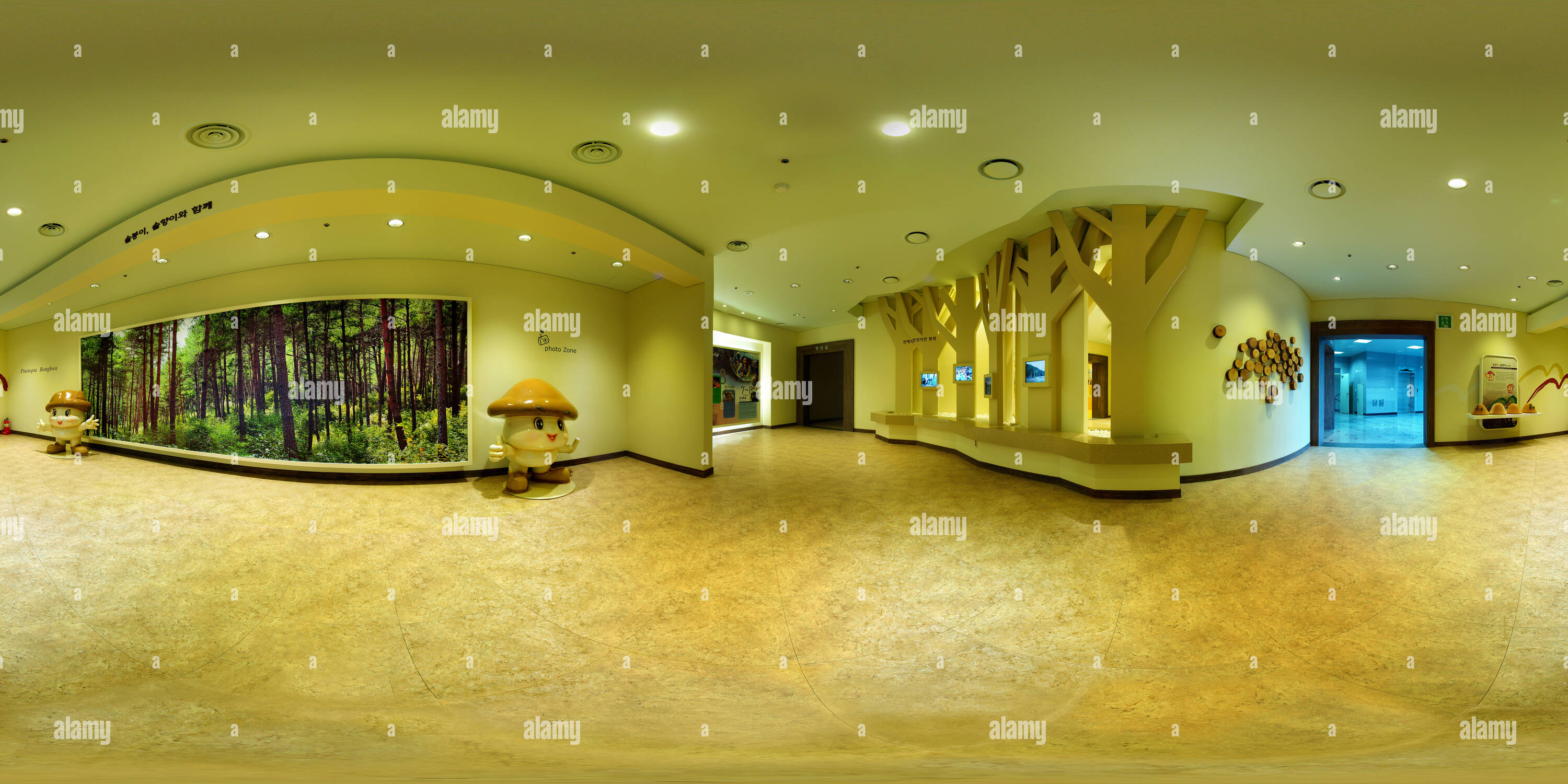 360° view of chunyang Forest Experience - Alamy