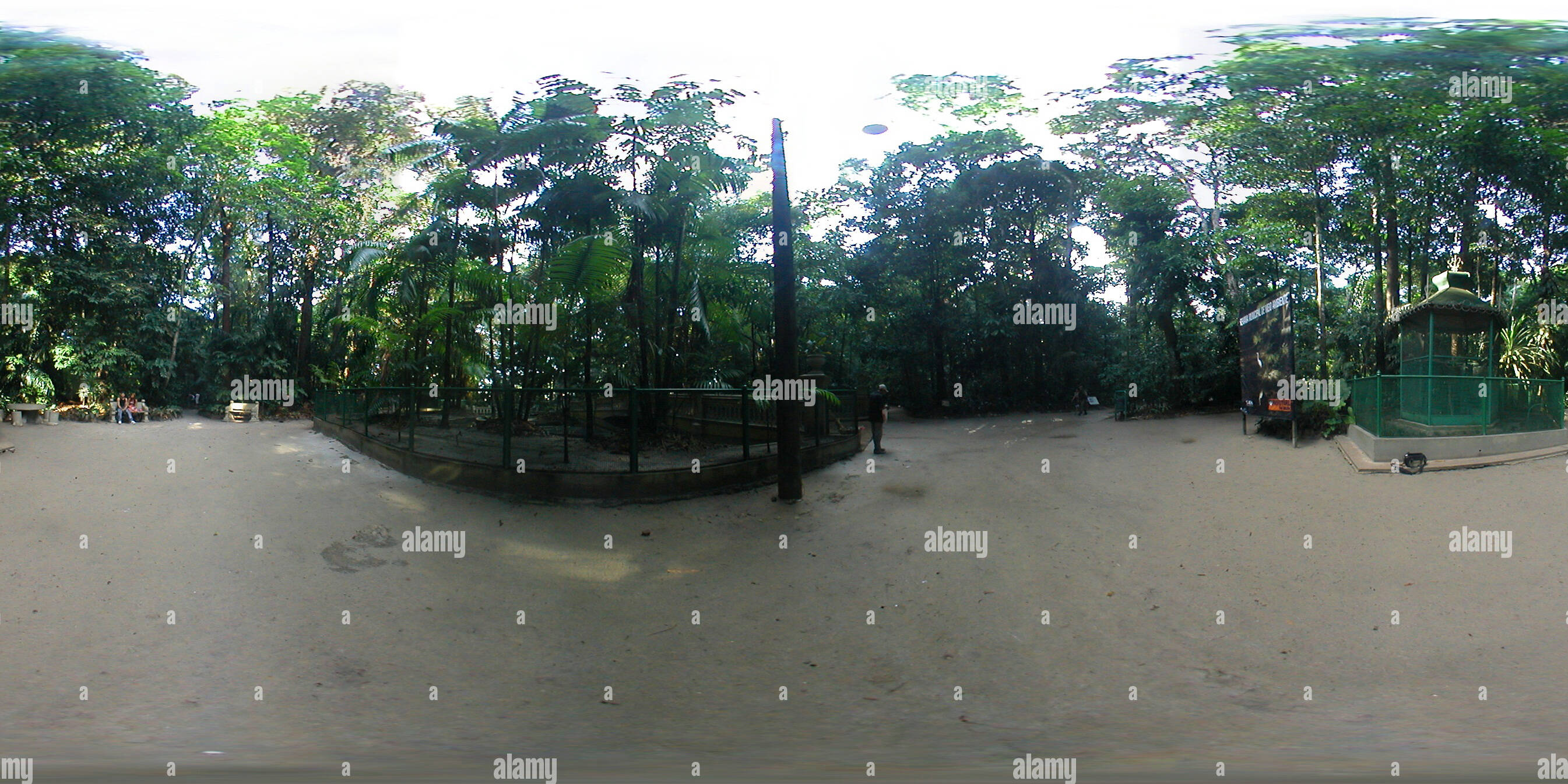 Bosque rodrigues alves hi-res stock photography and images - Alamy