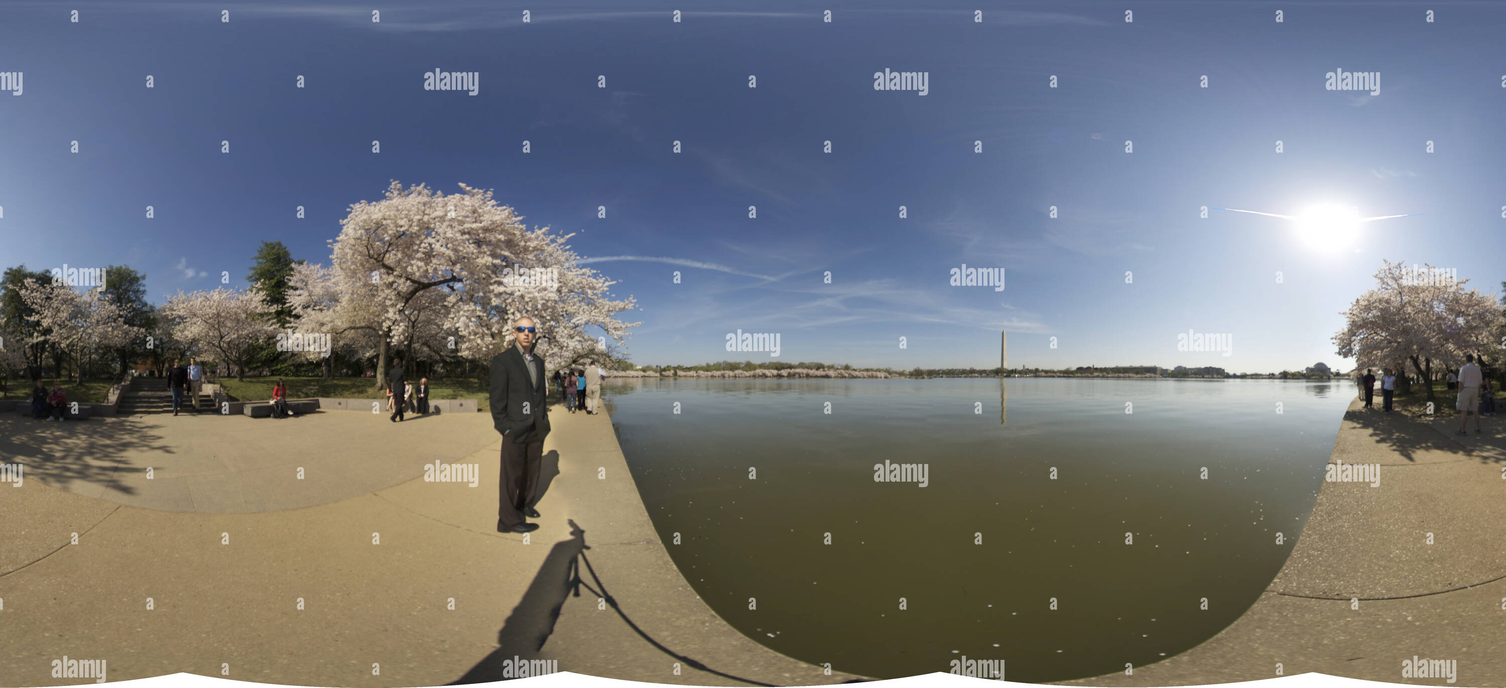 360° view of Tidal Basin Cherry Blossom - Alamy
