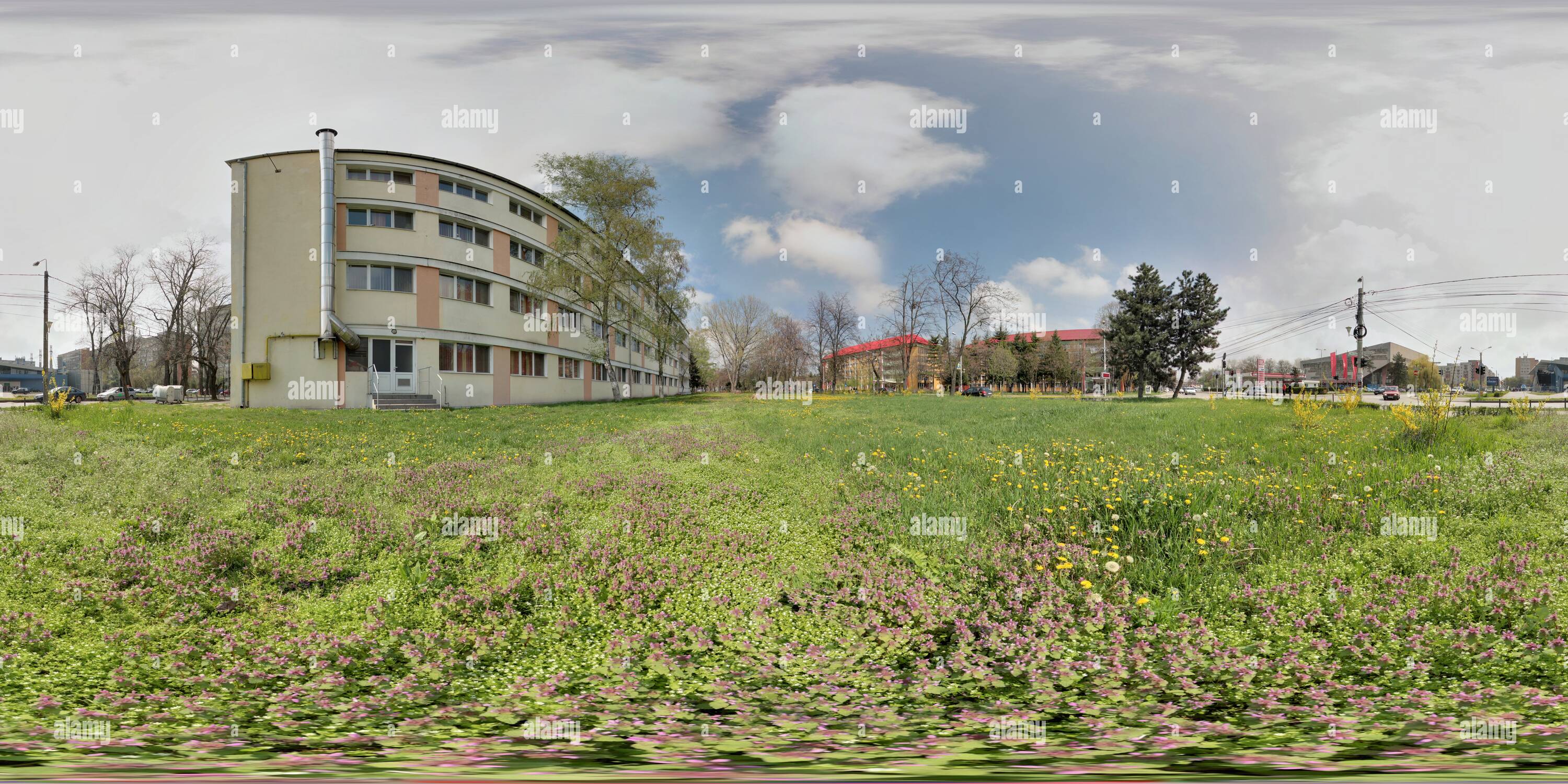 Grassview hi-res stock photography and images - Alamy