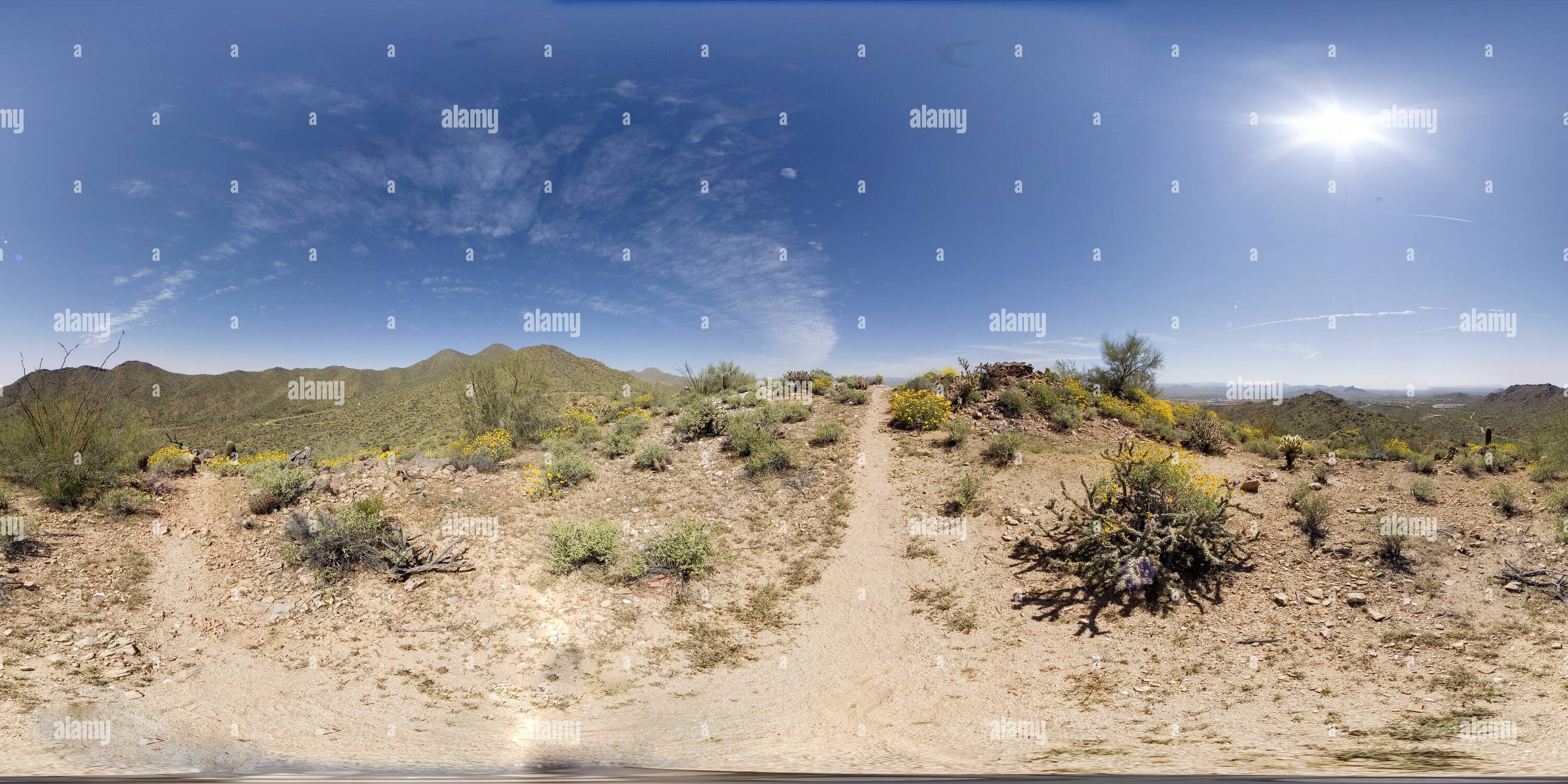 360° view of Desert in bloom 2 - Sunrise Peak, Scottsdale, Arizona - Alamy