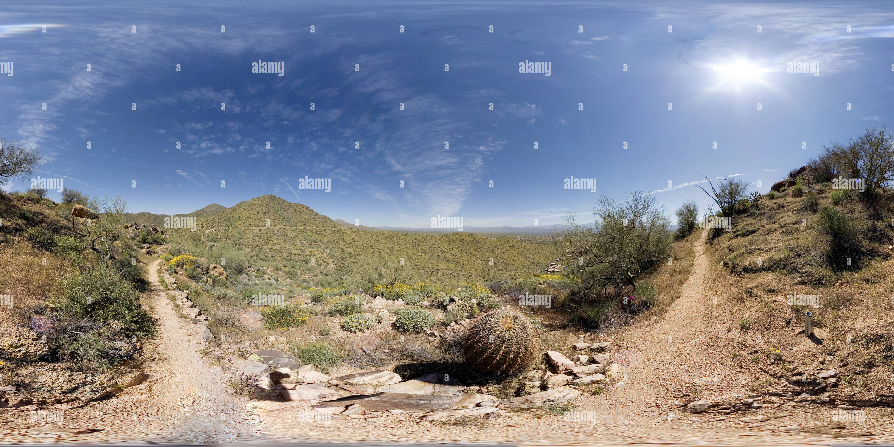 360° view of Desert in bloom 5 - Sunrise Peak, Scottsdale, Arizona - Alamy