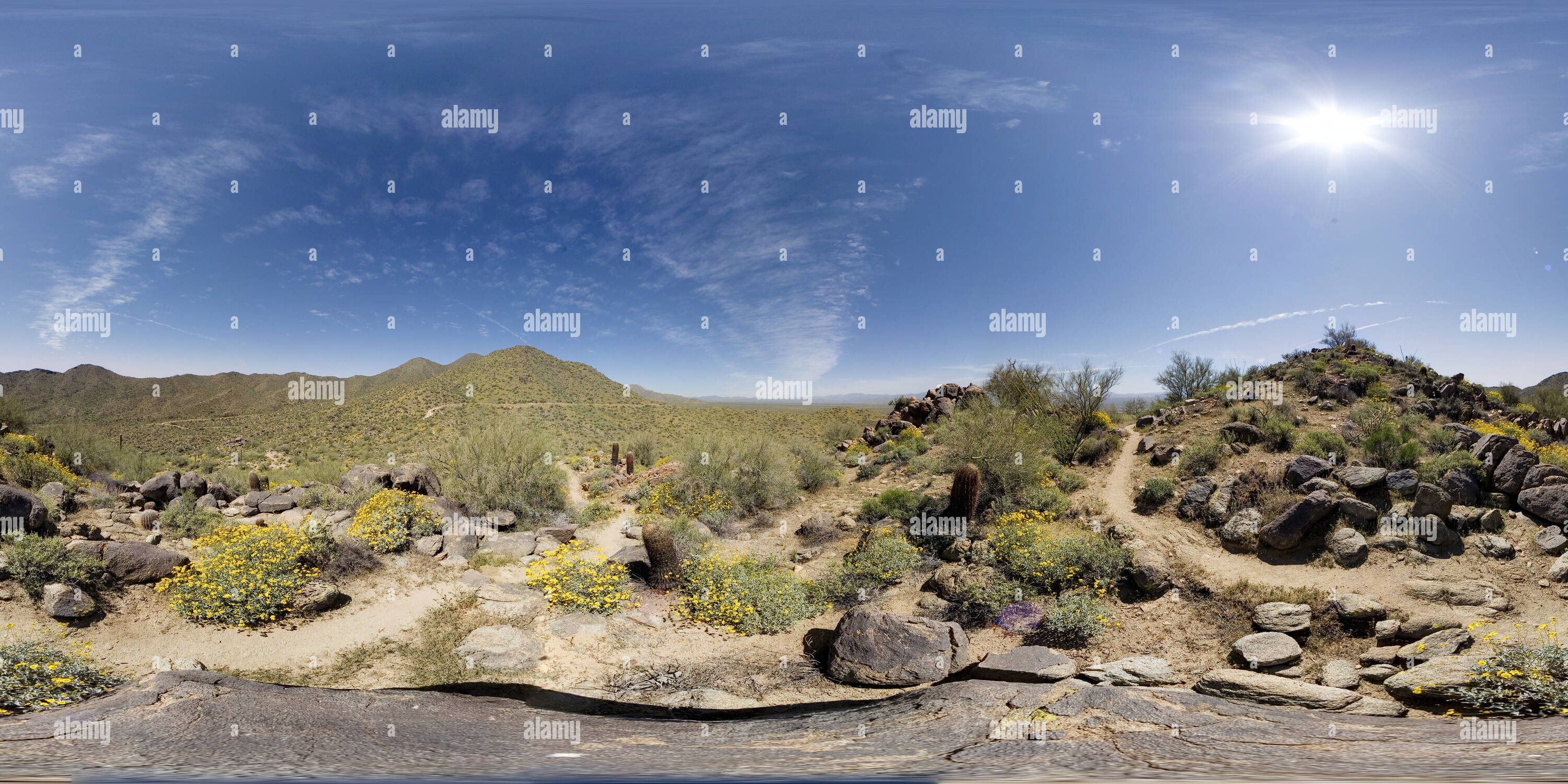 360° view of Desert in bloom 6 - Sunrise Peak, Scottsdale, Arizona - Alamy