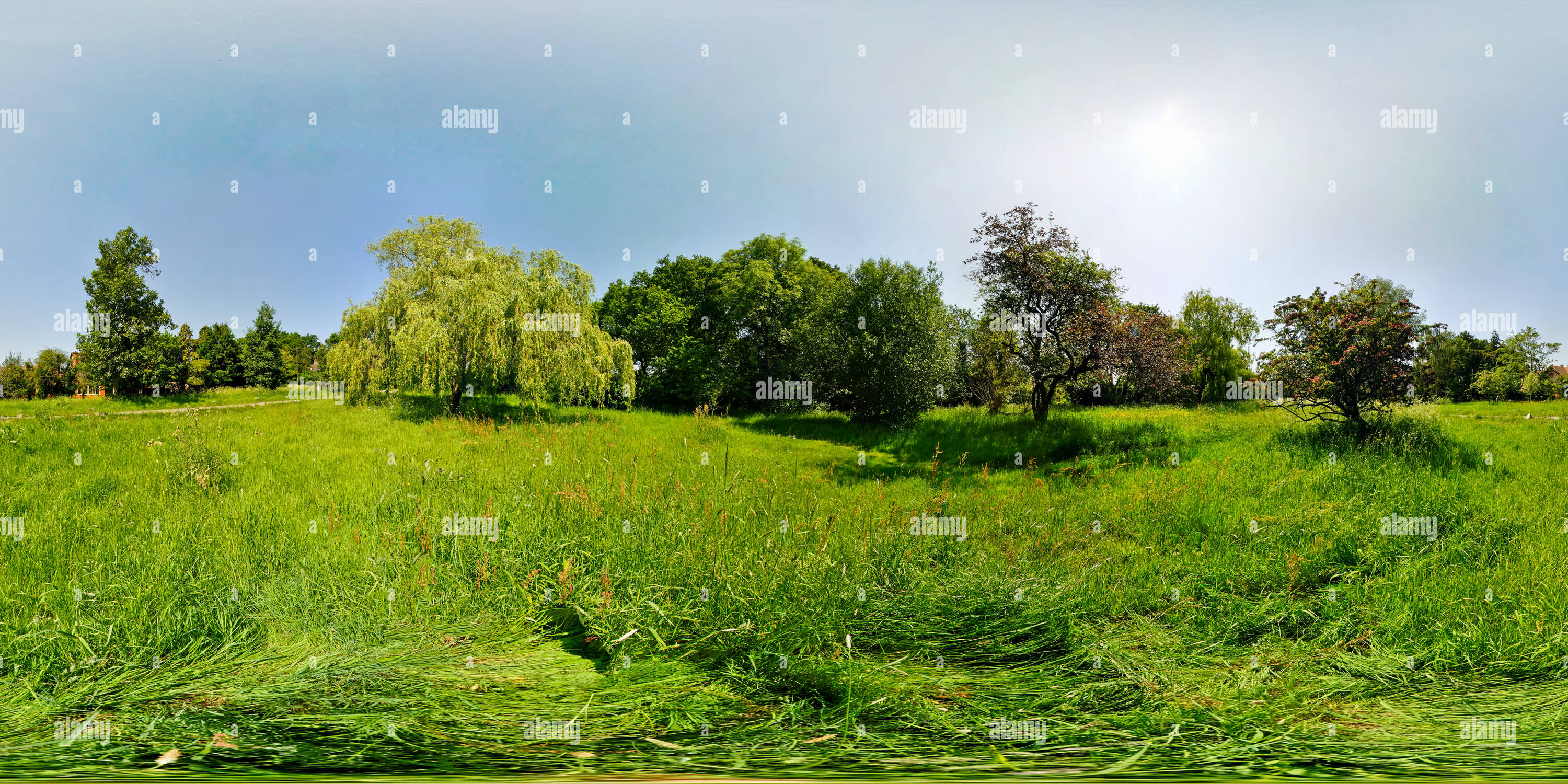 360° view of Willow Tree, Totteridge Green - Alamy